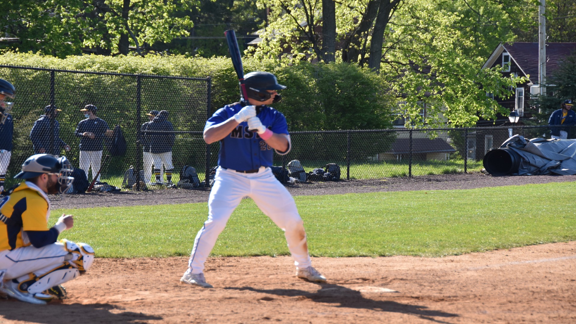 Dominick Marzigliano - Baseball - Mount Saint Mary College Athletics