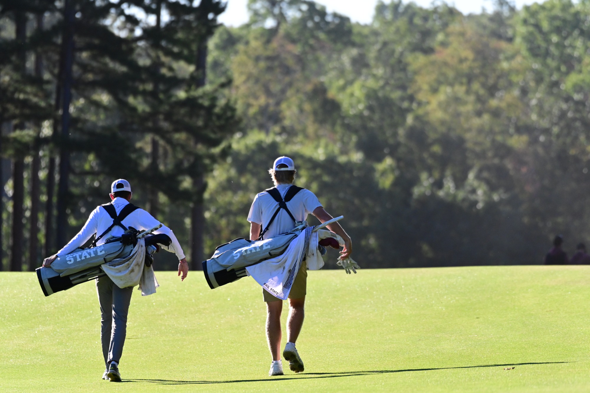 Ford Clegg - Men's Golf - Mississippi State