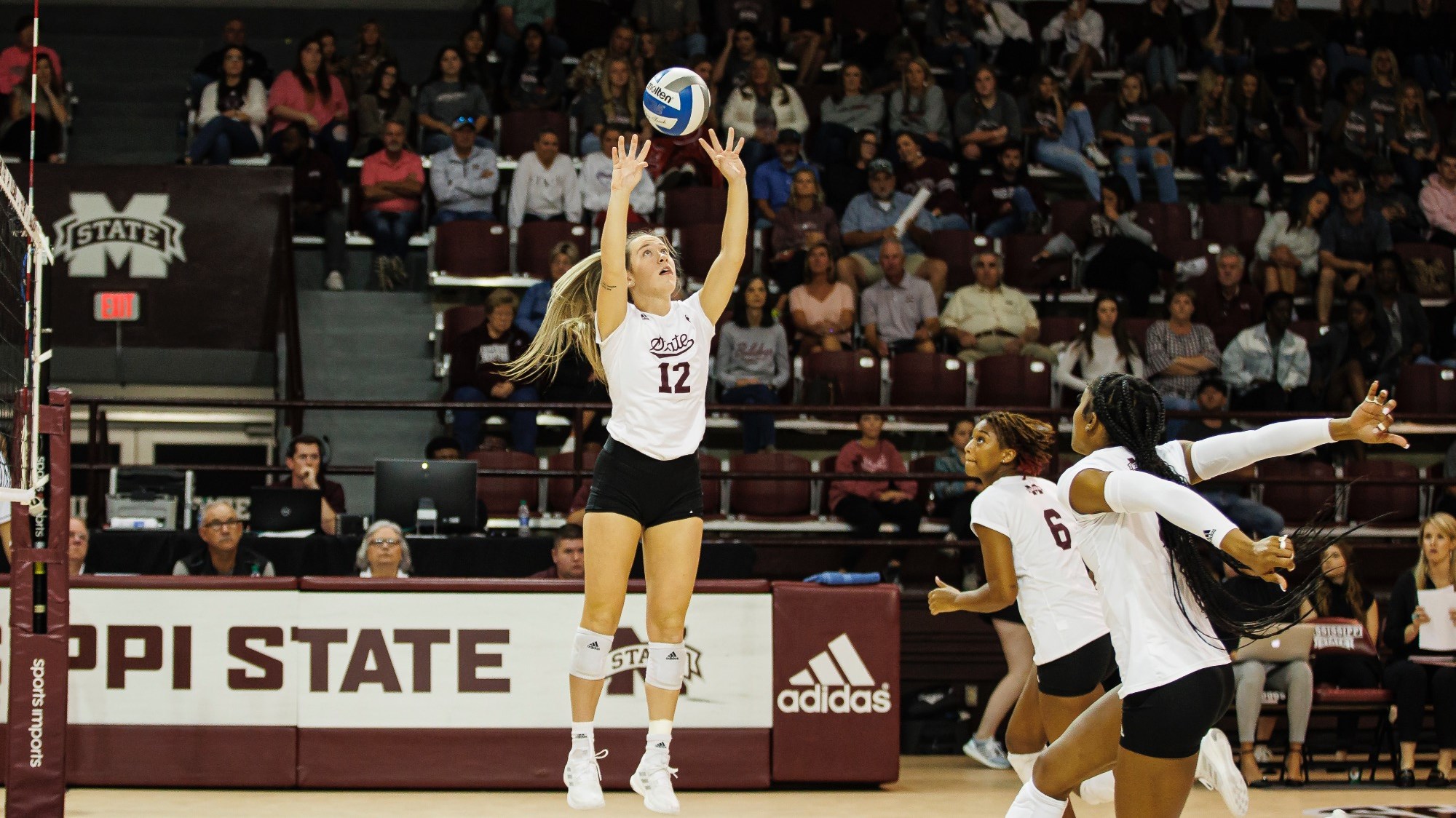 Gabby Coulter - Volleyball - Mississippi State