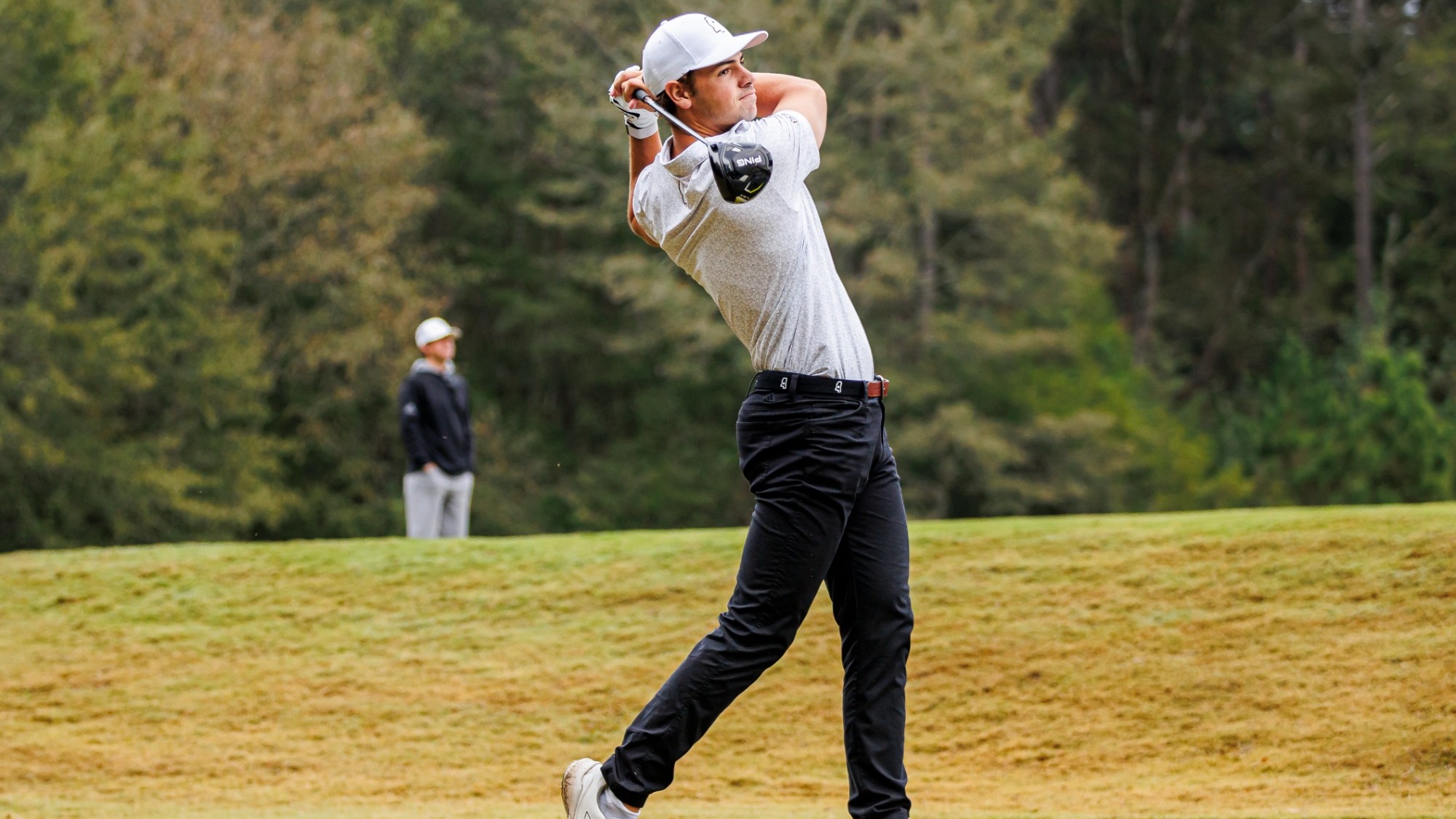 David Beard - Men's Golf - Mississippi State