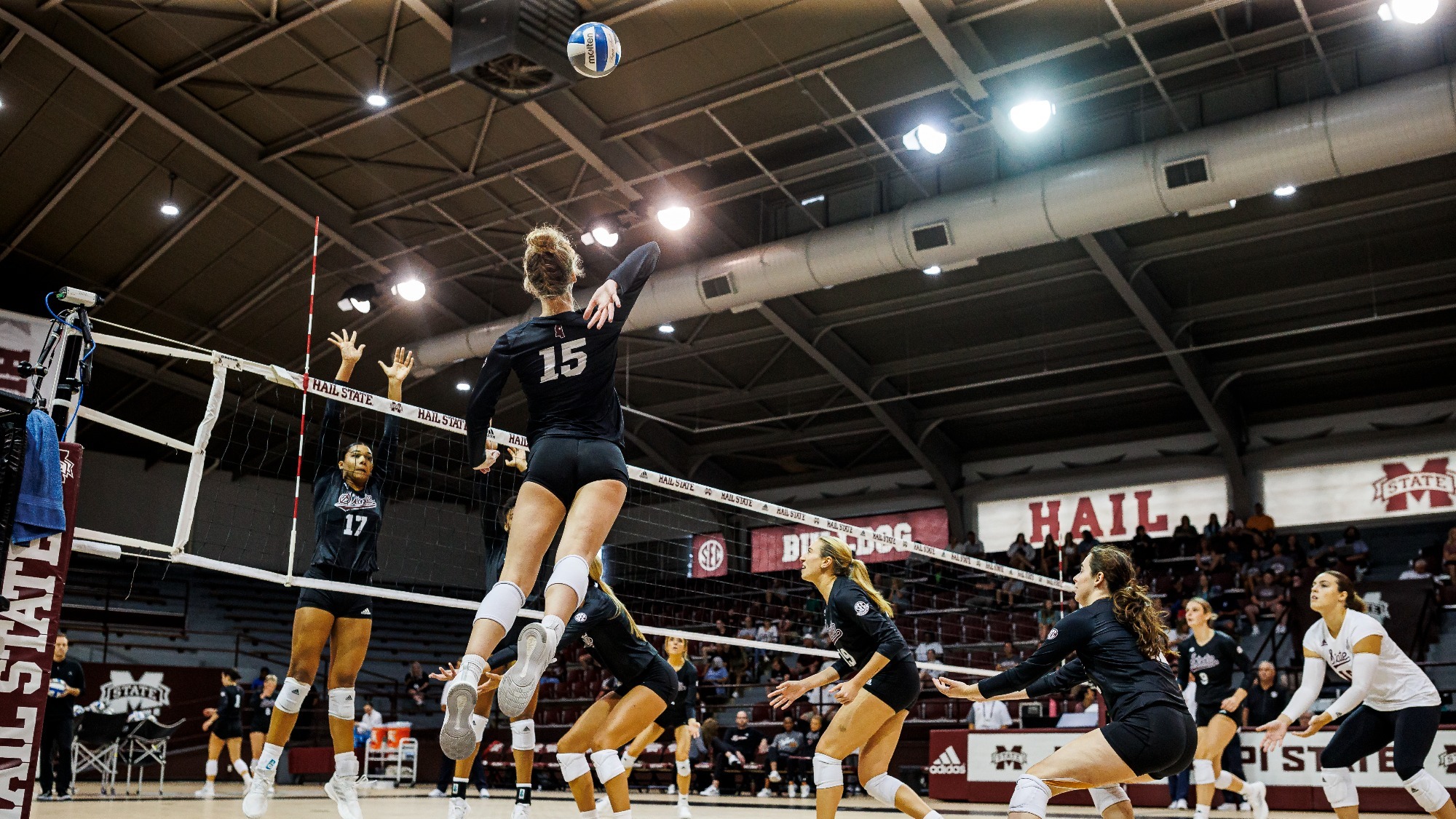 Avery Fitzgerald - Volleyball - Mississippi State