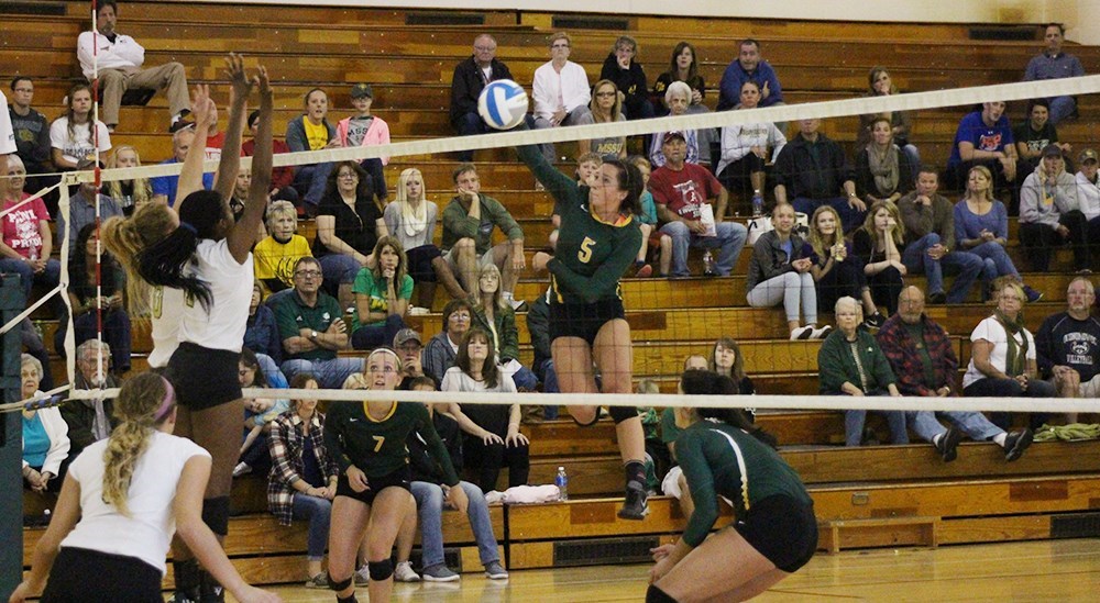Alyx Gepford - 2017 - Women's Volleyball - Missouri Southern State ...