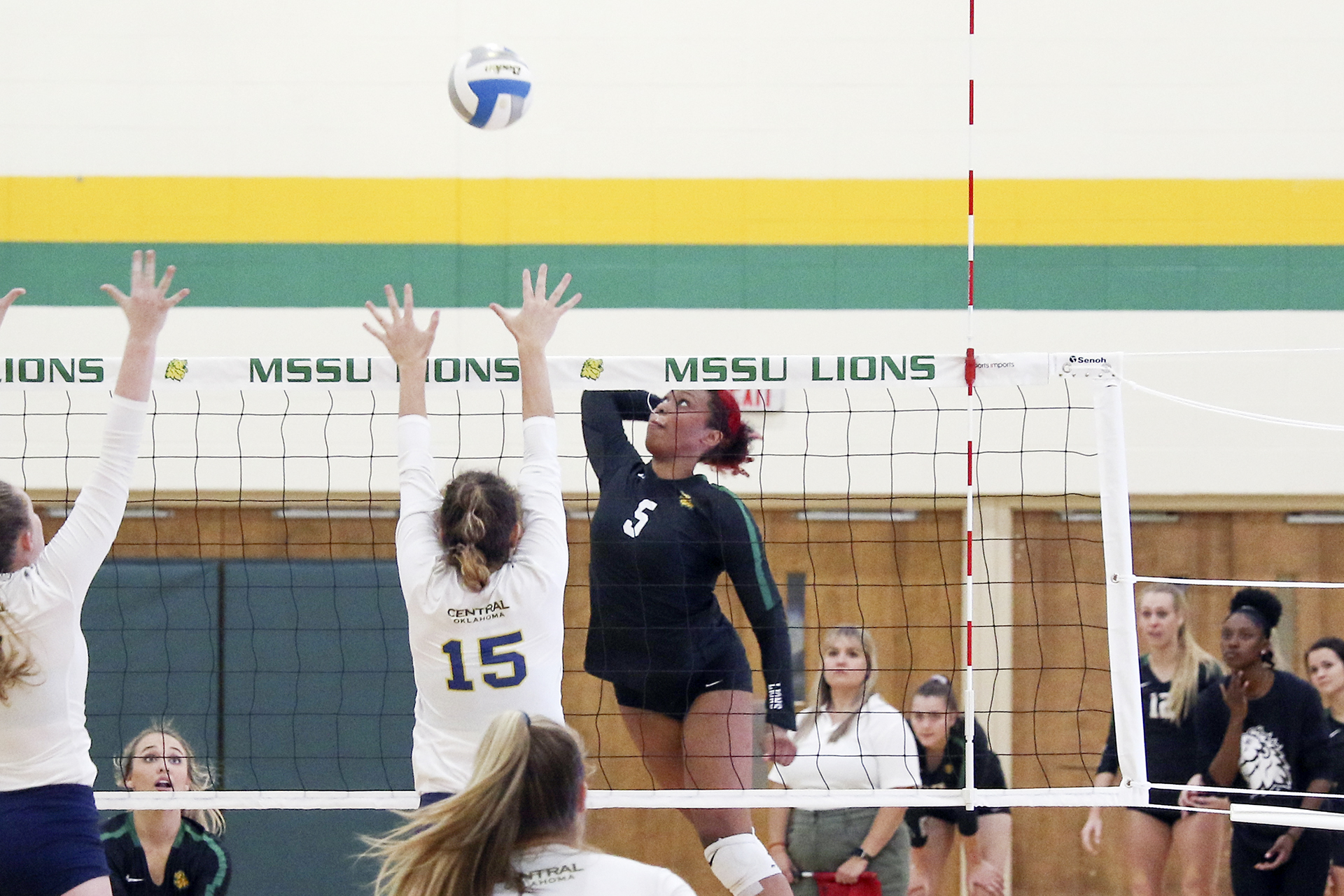 Armyni Perales - 2021 - Women's Volleyball - Missouri Southern State ...