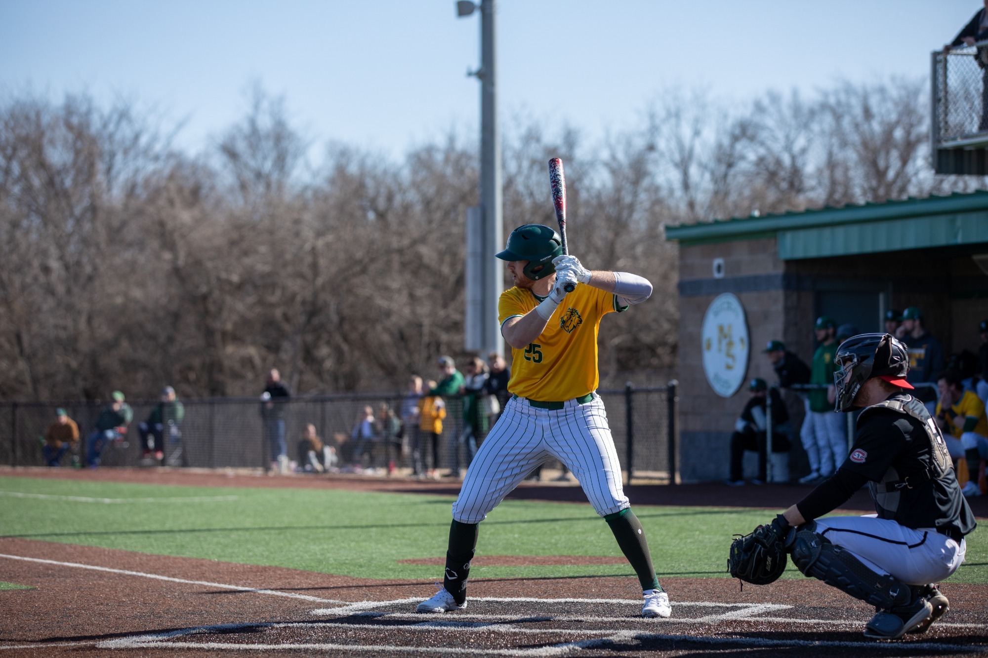 Lions Complete Series Against Delta State - Missouri Southern State ...