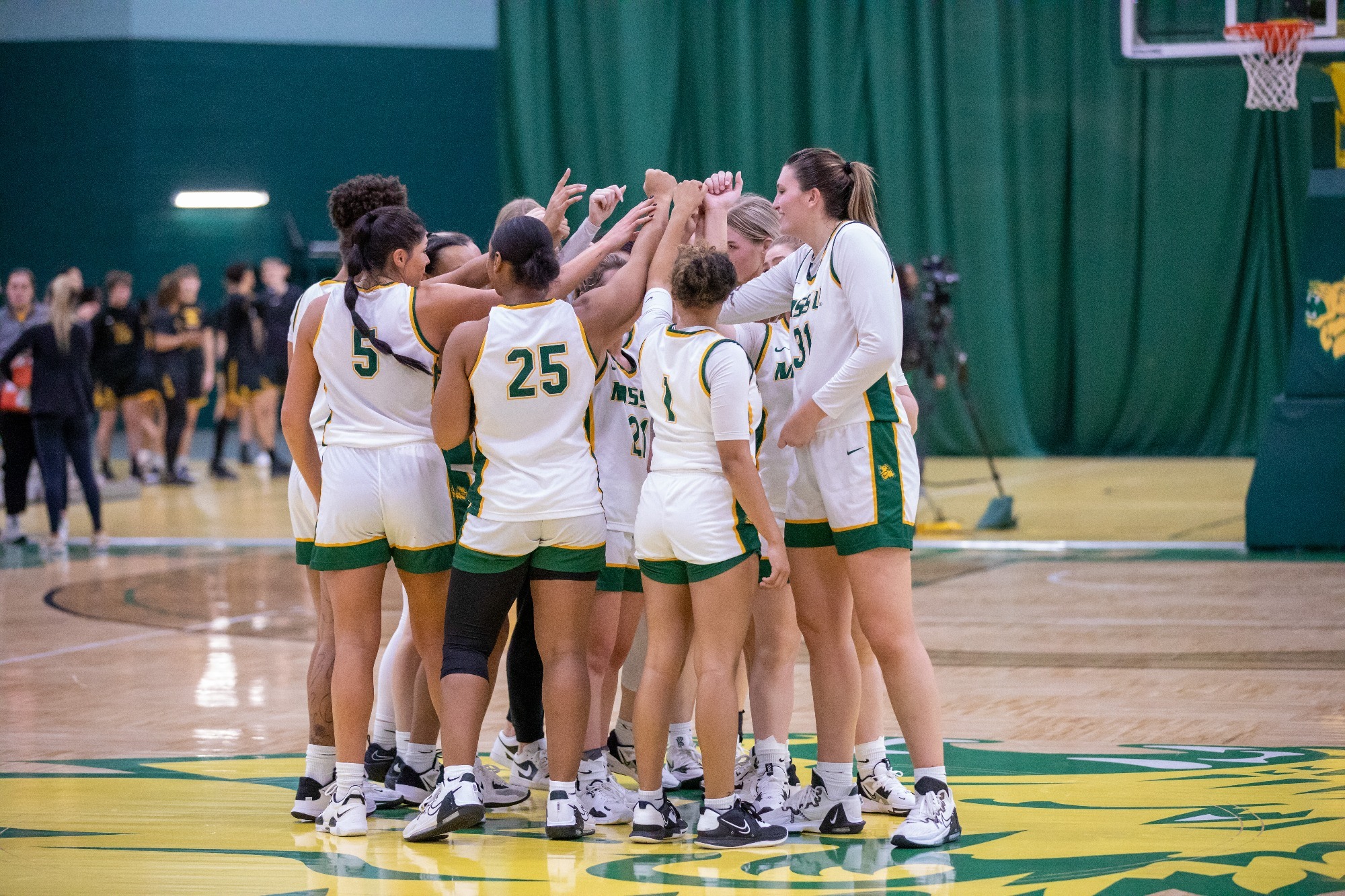 No. 18 Lions Fall In Central Region Championship Game - Missouri ...