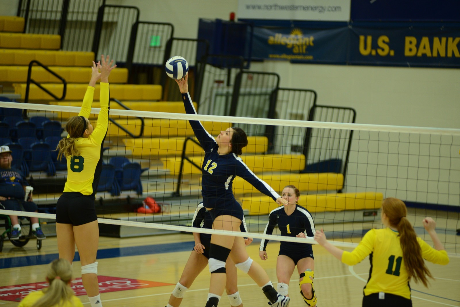 Julia Anderson - Women's Volleyball - Montana State University Billings ...