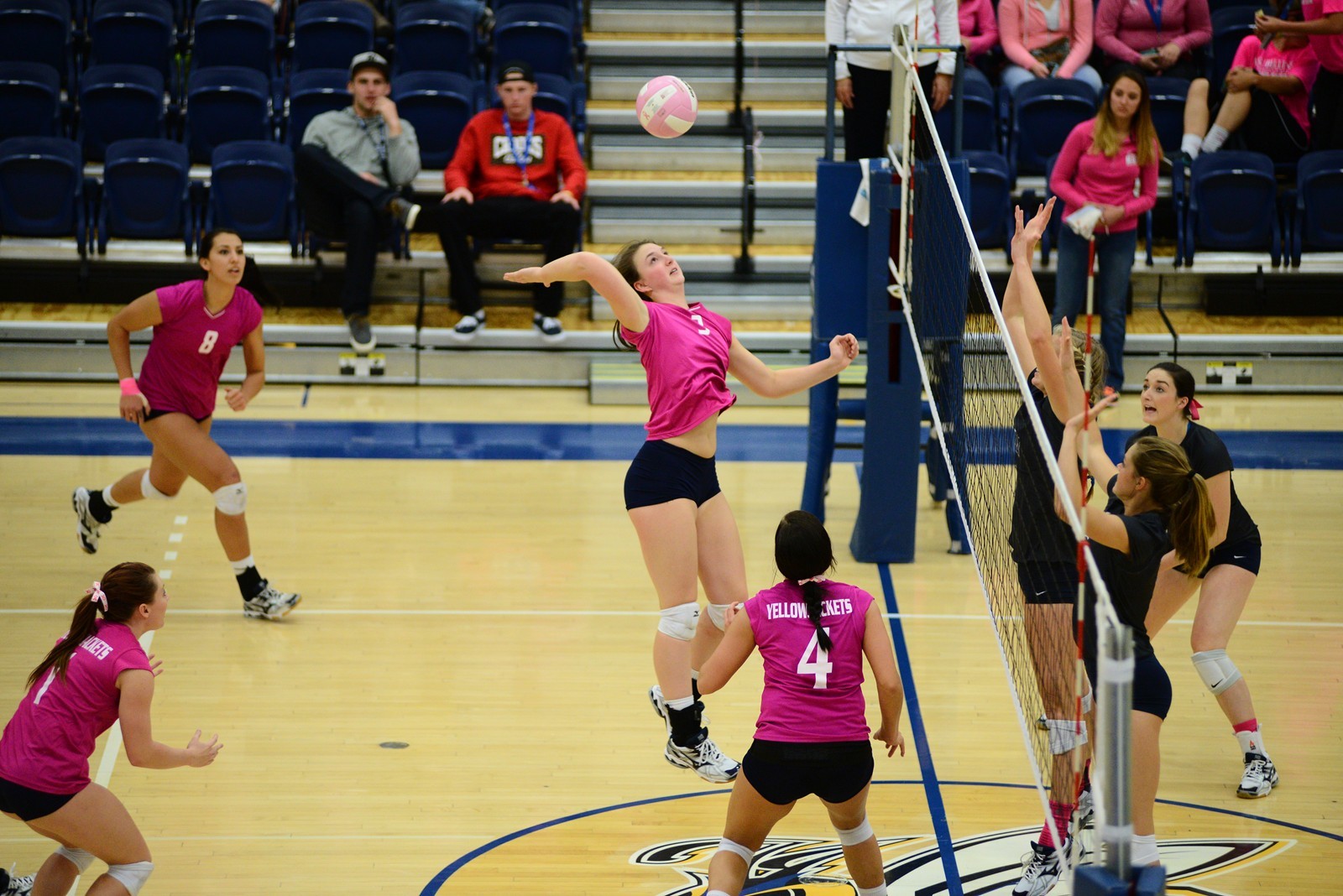 Taylor Albertson - Women's Volleyball - Montana State University ...