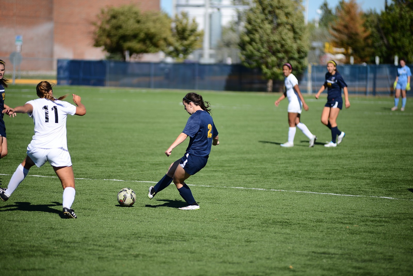 Bailey Griglio - Women's Soccer - Montana State University Billings ...