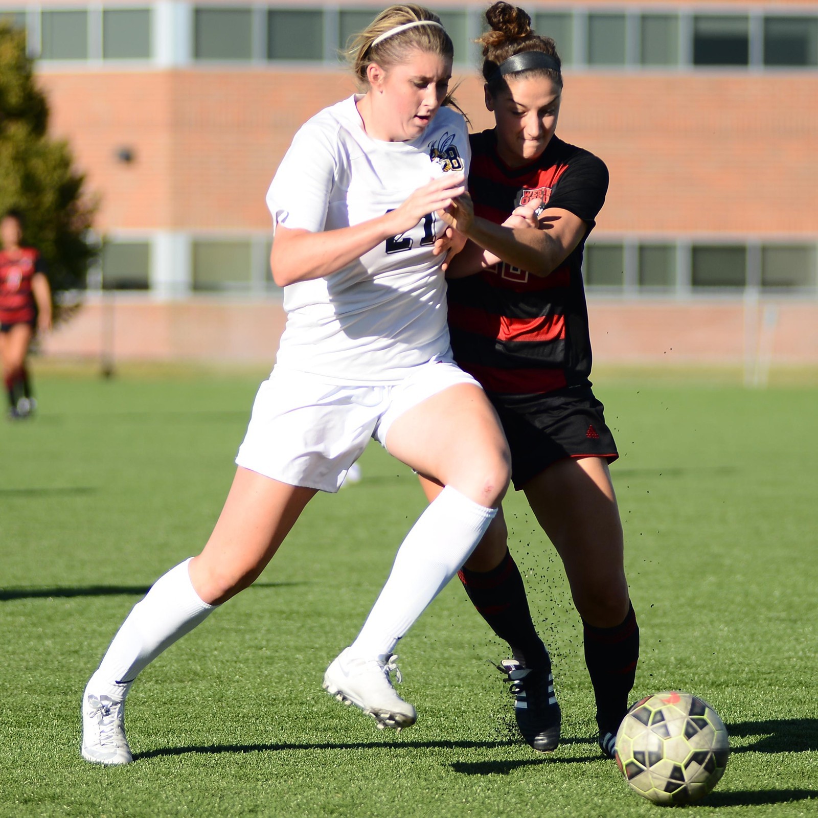 Hayley Warren - Women's Soccer - Montana State University Billings ...