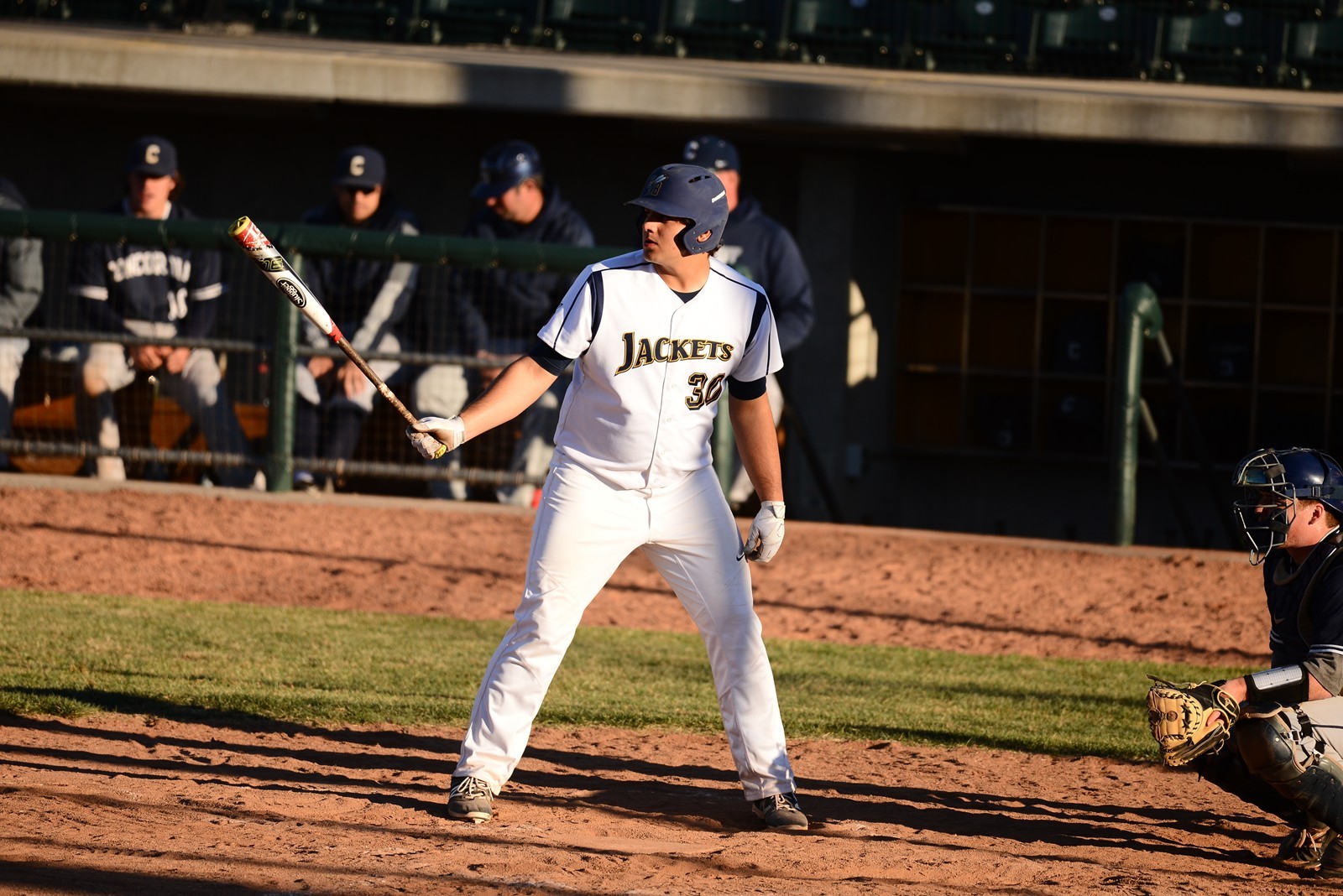 Tanner Watson - Baseball - Montana State University Billings Athletics