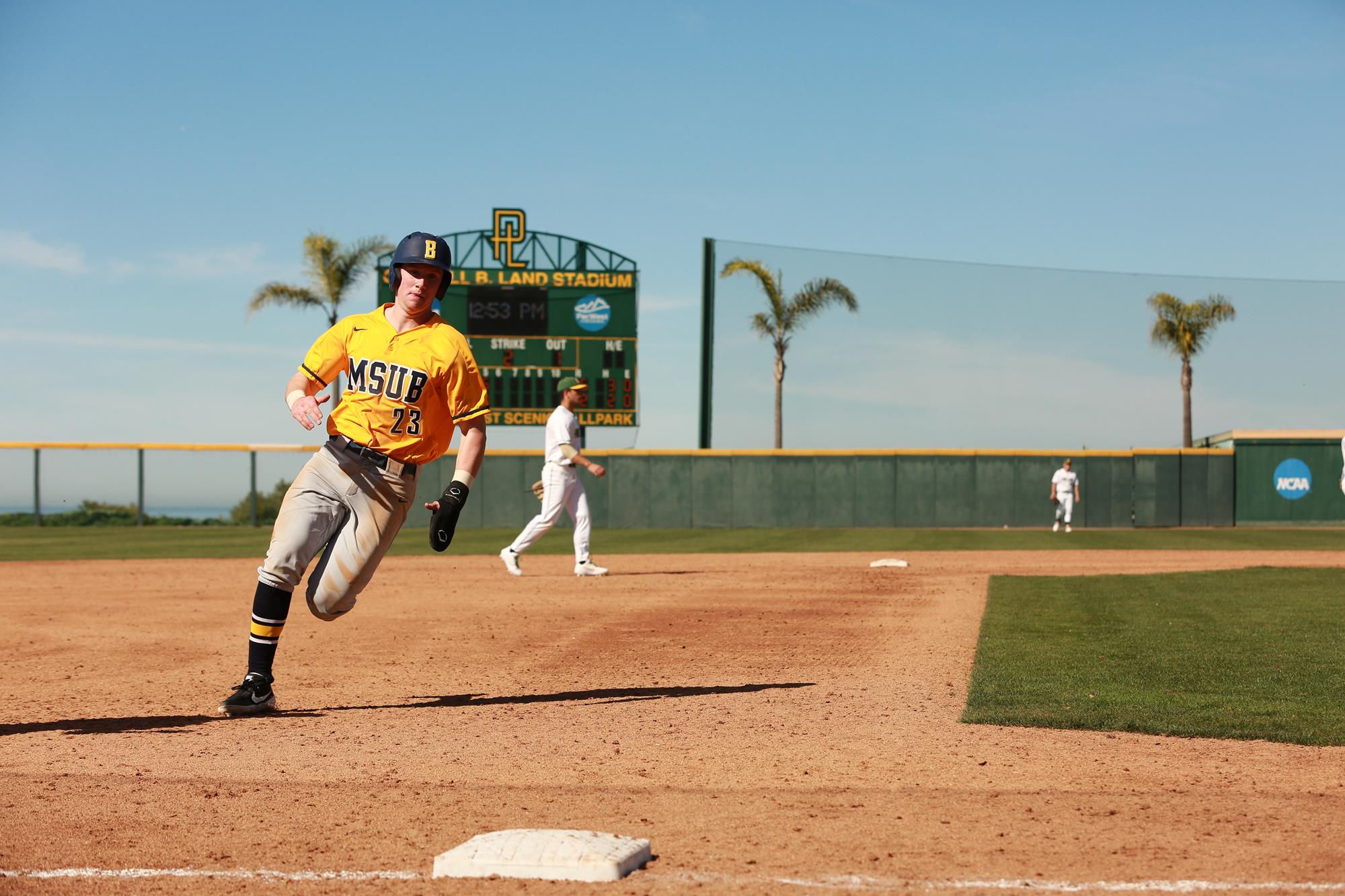 Will Riley - Baseball - Montana State University Billings Athletics