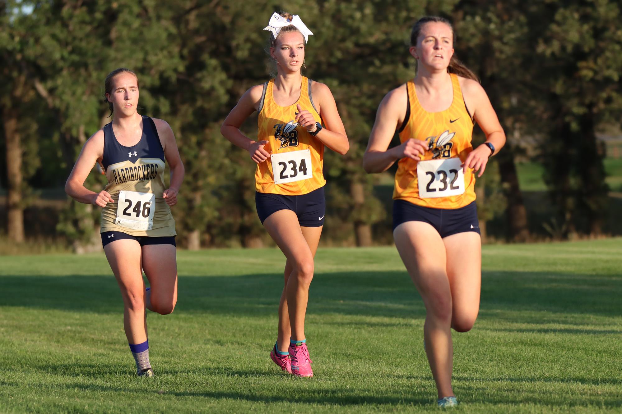 Abbi Zent - Women's Cross Country - Montana State University Billings ...