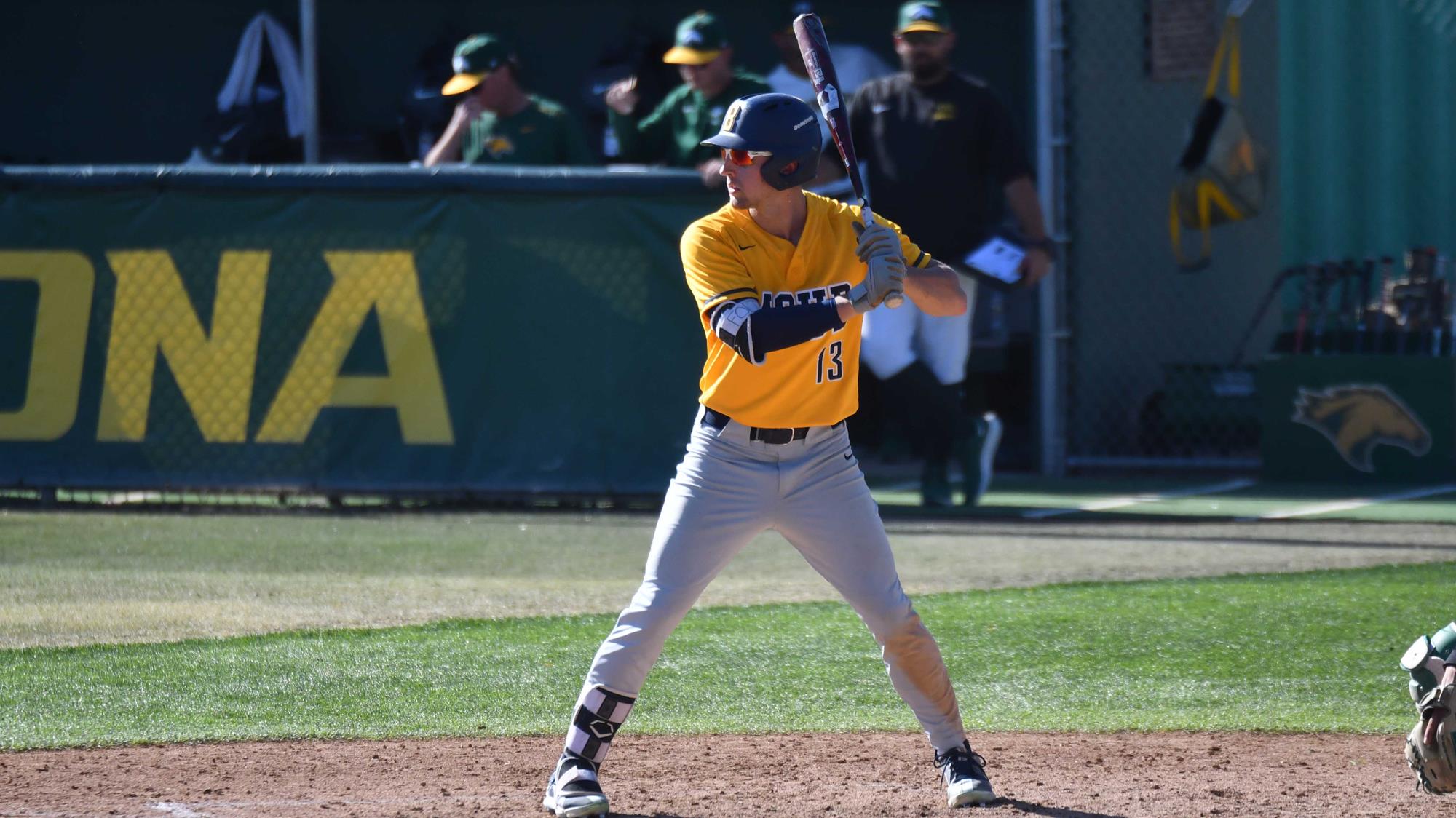 Hayden Foltz - Baseball - Montana State University Billings Athletics