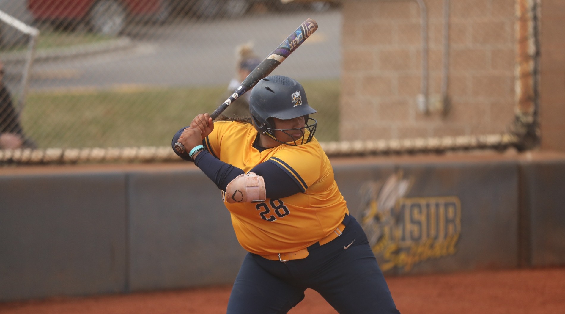 Yellowjackets Finish Season with Series Split - Montana State ...