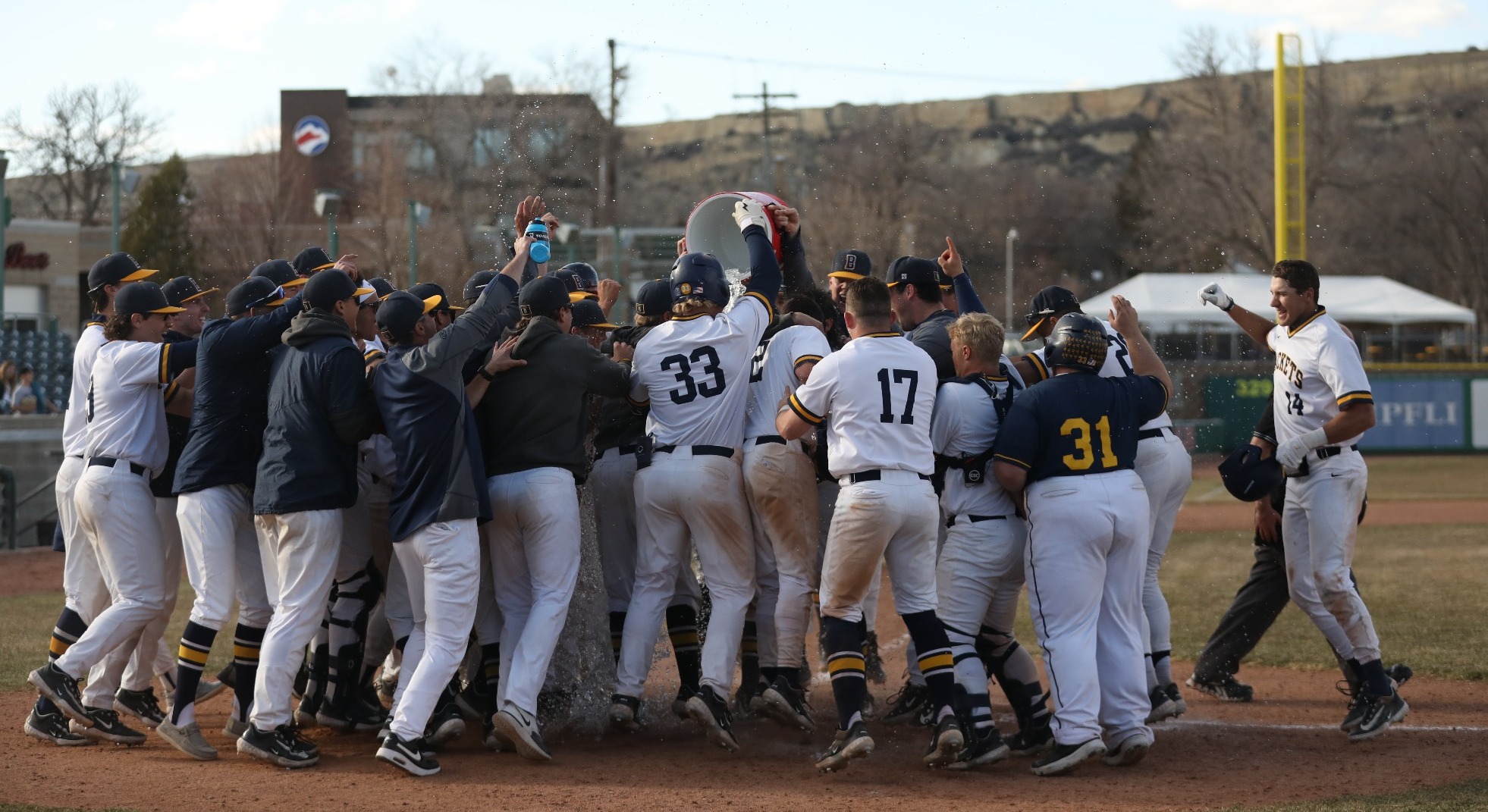 Yellowjackets Seal Series Win in Walk off Fashion - Montana State ...