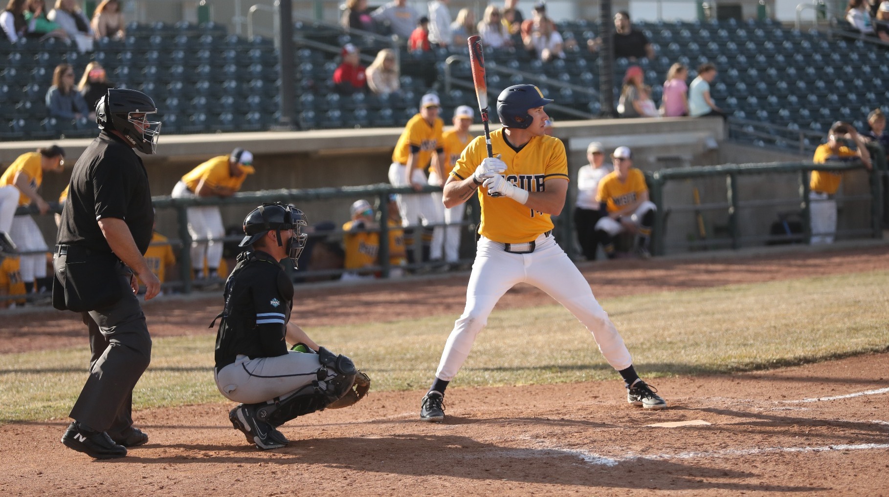 Yellowjackets Lose Twice to Wildcats - Montana State University ...
