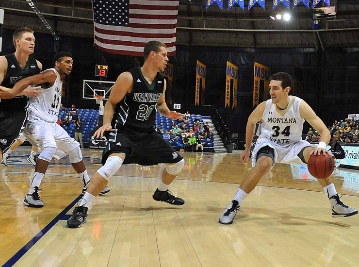 Danny Robison - Men's Basketball - Montana State University Athletics
