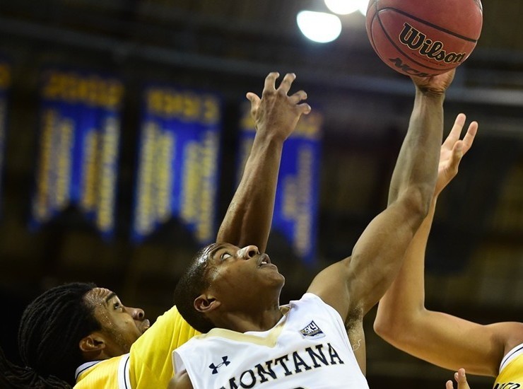 Michael Dison - Men's Basketball - Montana State University Athletics