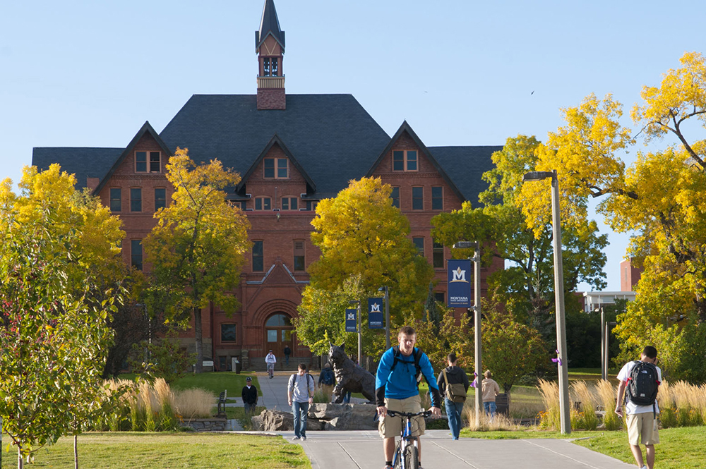 Bobcat Athletics Summer Camps Begin in June - Montana State University ...