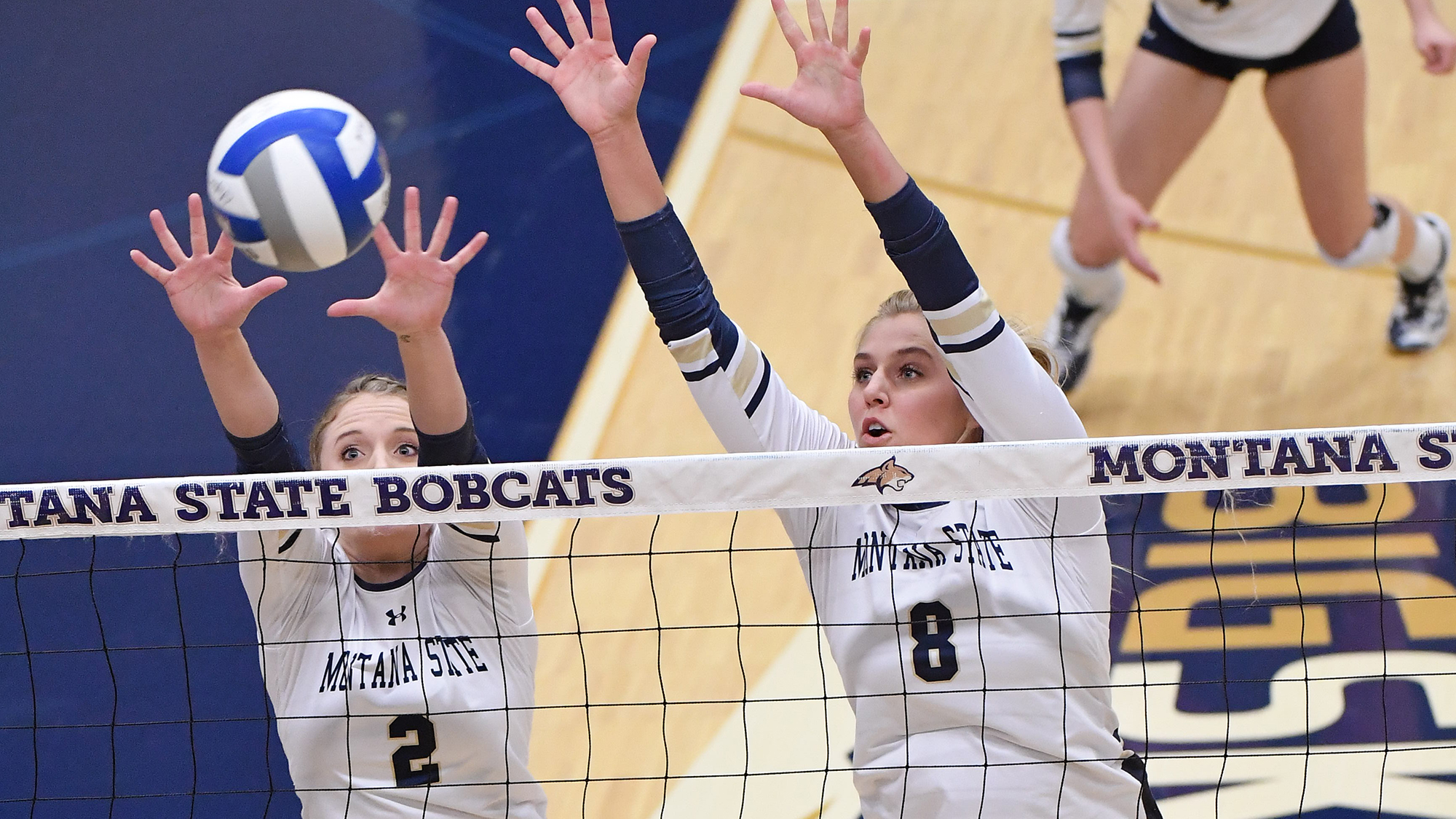 Katie Rutecki - Women's Volleyball - Montana State University Athletics