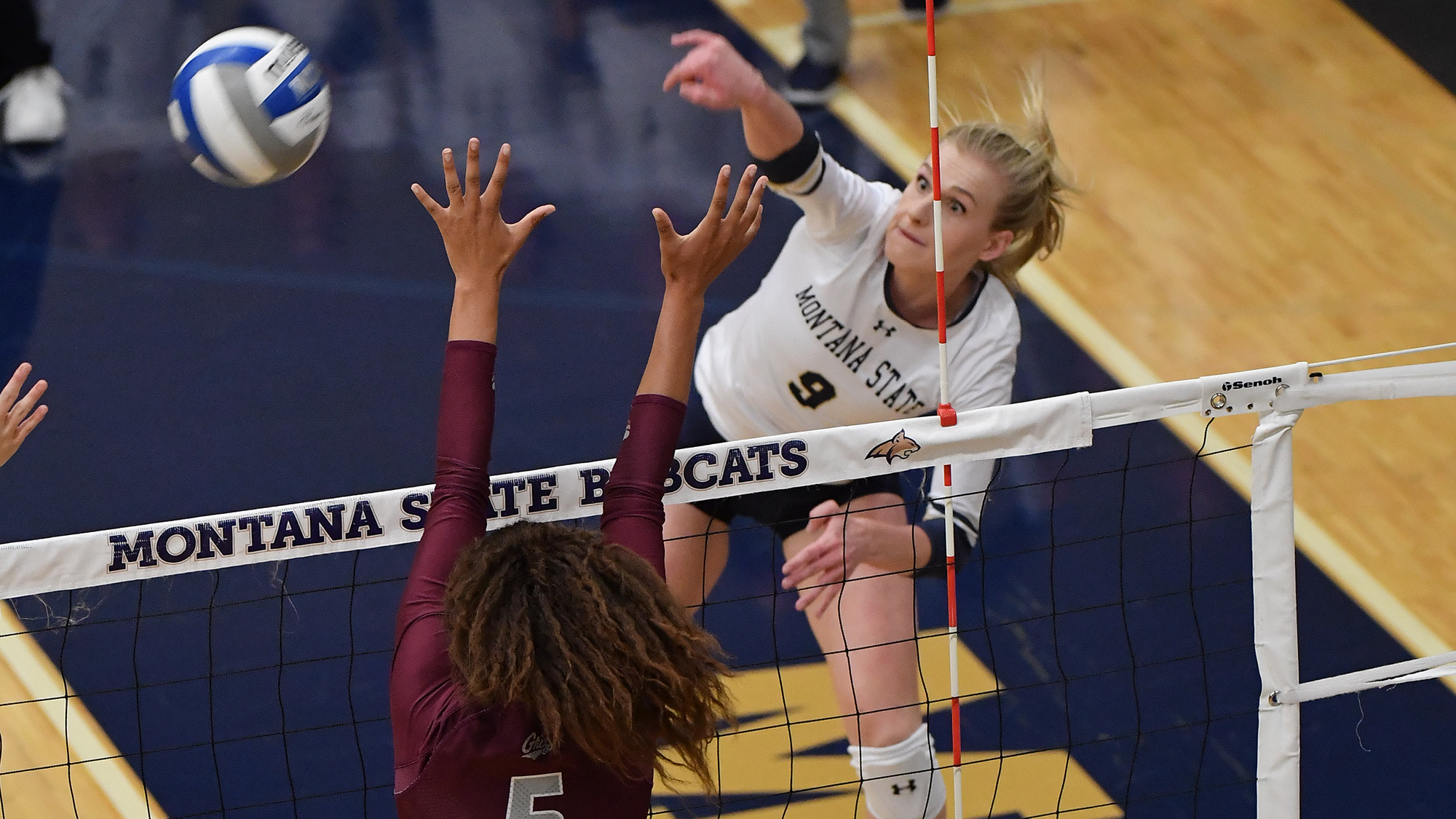 Natalie Passeck - Women's Volleyball - Montana State University Athletics