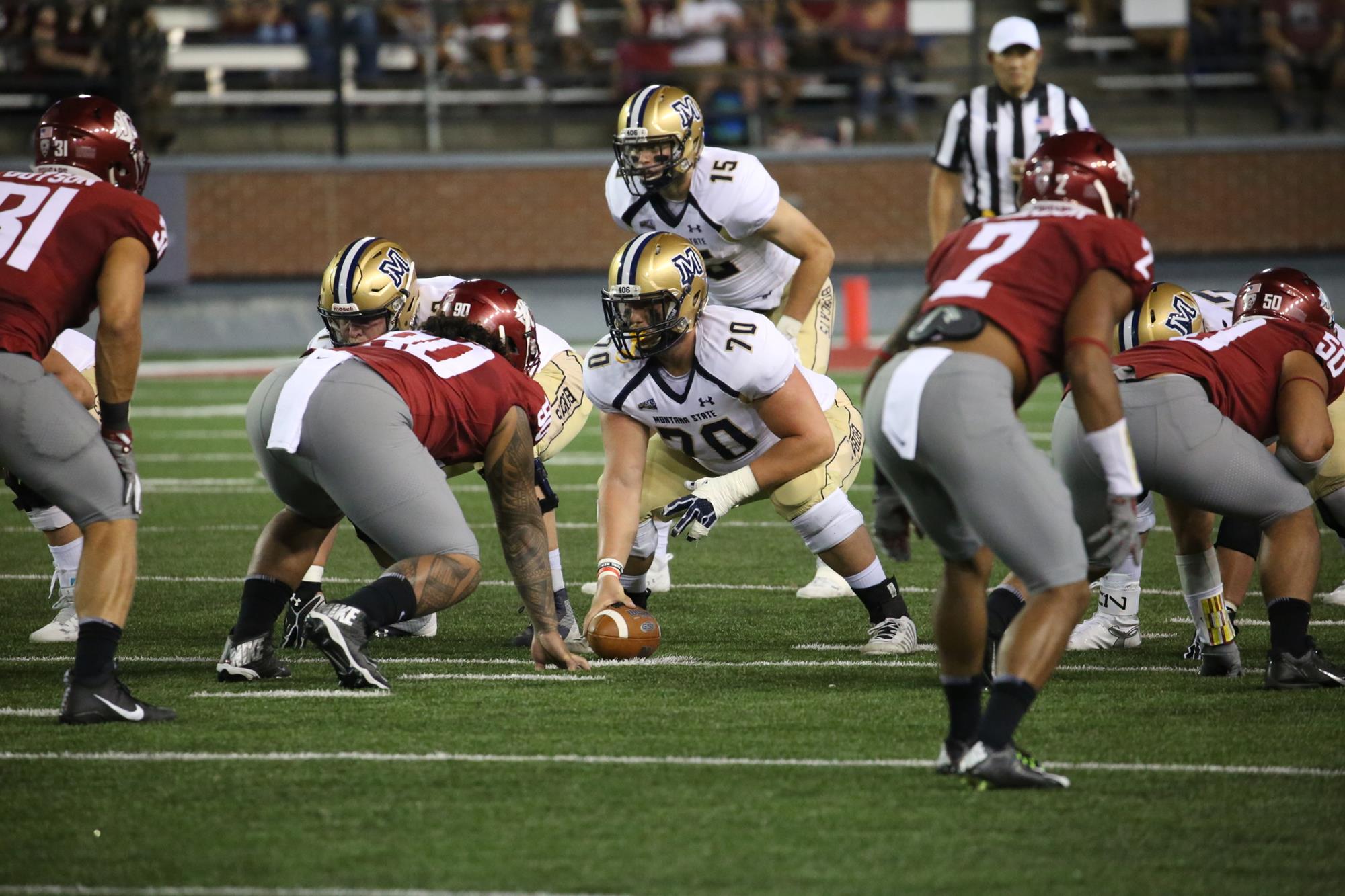 Alex Neale - Football - Montana State University Athletics