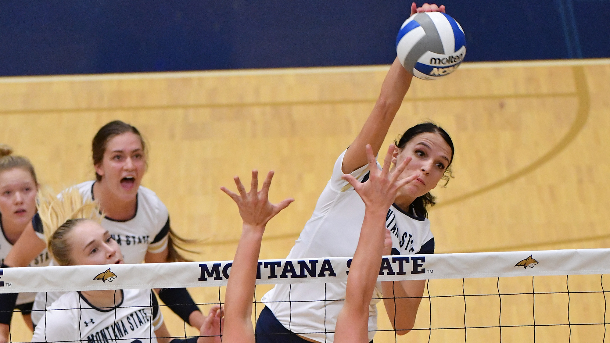 McKayla Landreth - Women's Volleyball - Montana State University Athletics