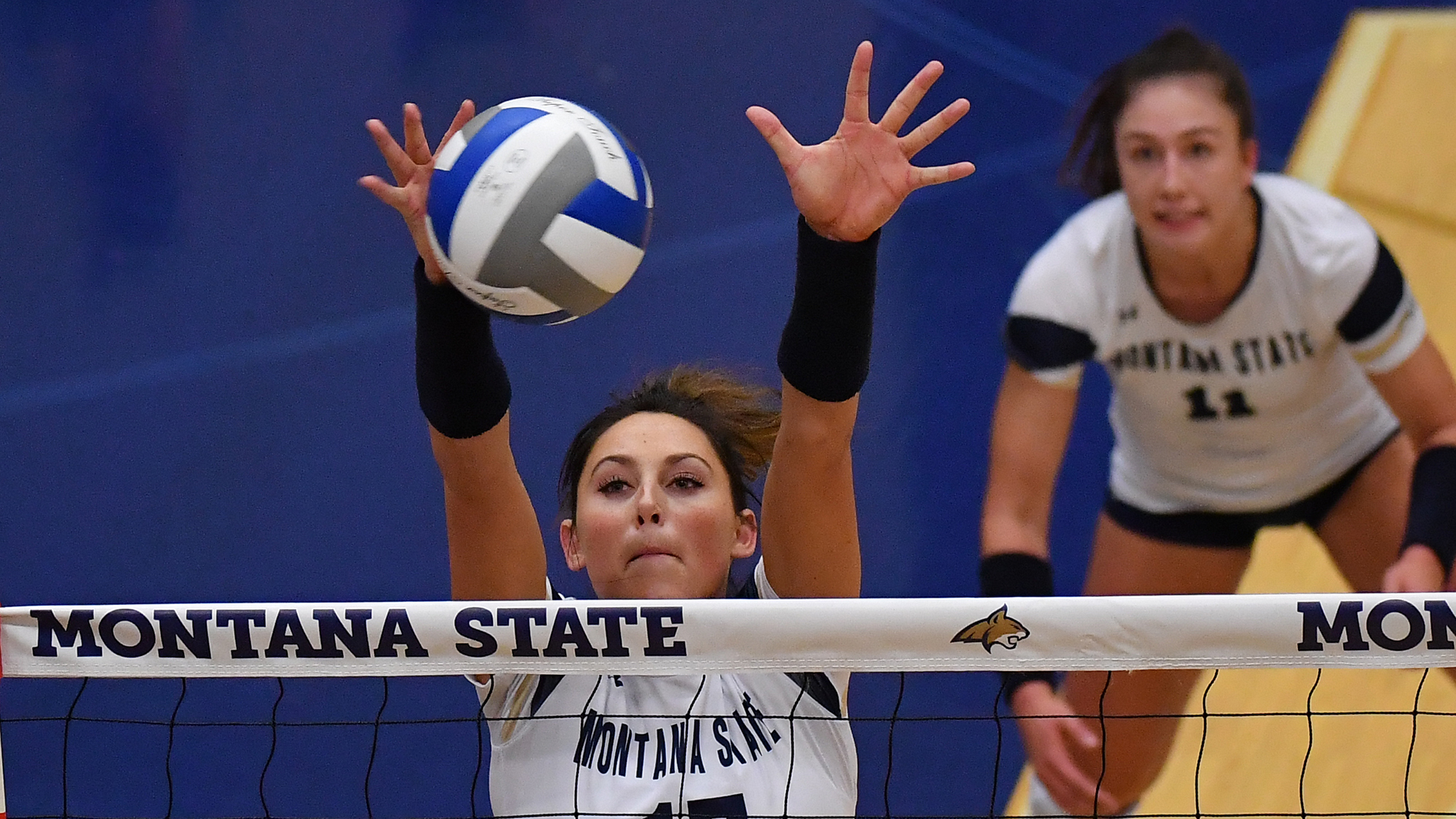 Evi Wilson - Women's Volleyball - Montana State University Athletics