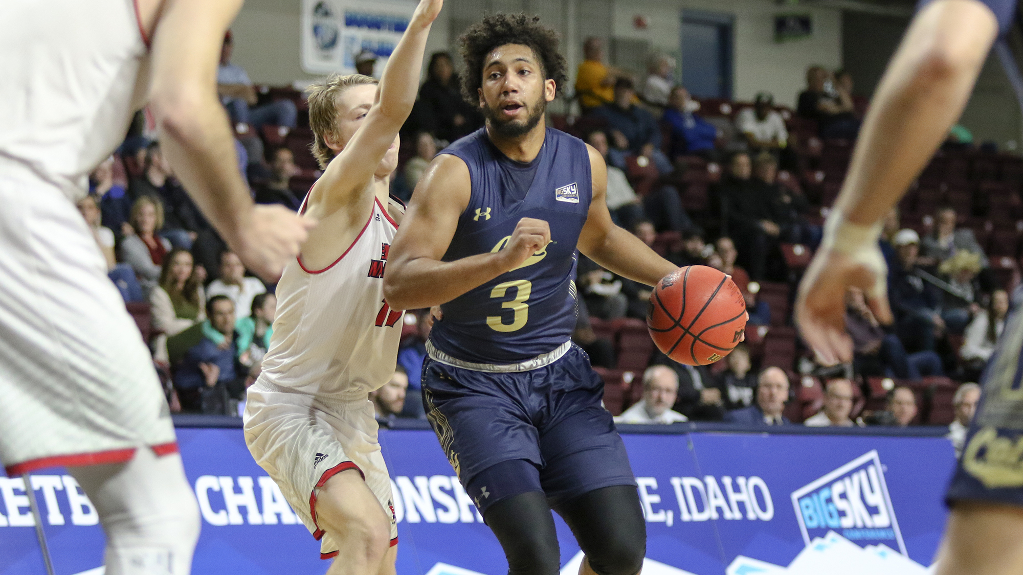 Tyler Hall - Men's Basketball - Montana State University Athletics