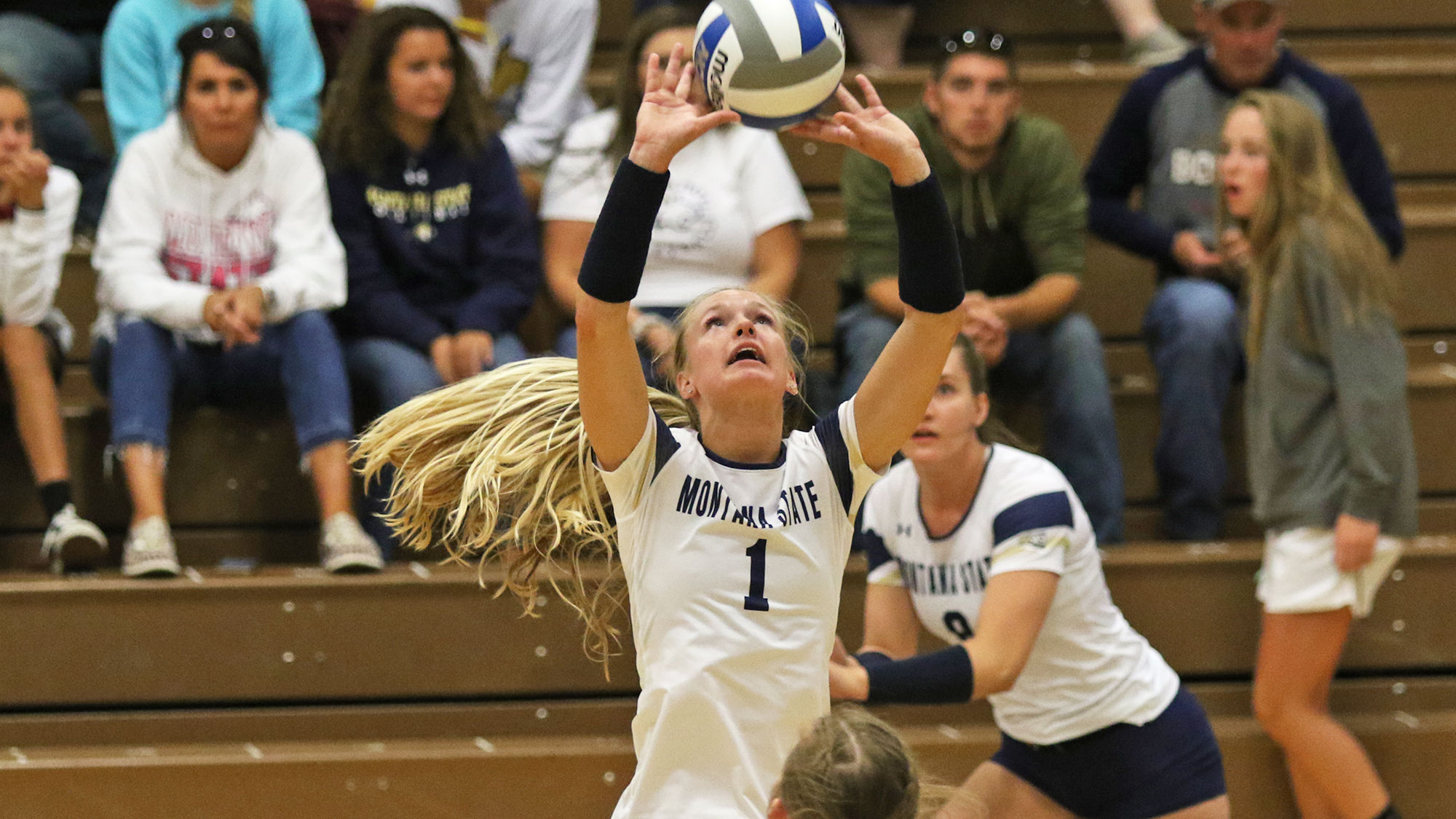 Sydney Mathison - Women's Volleyball - Montana State University Athletics
