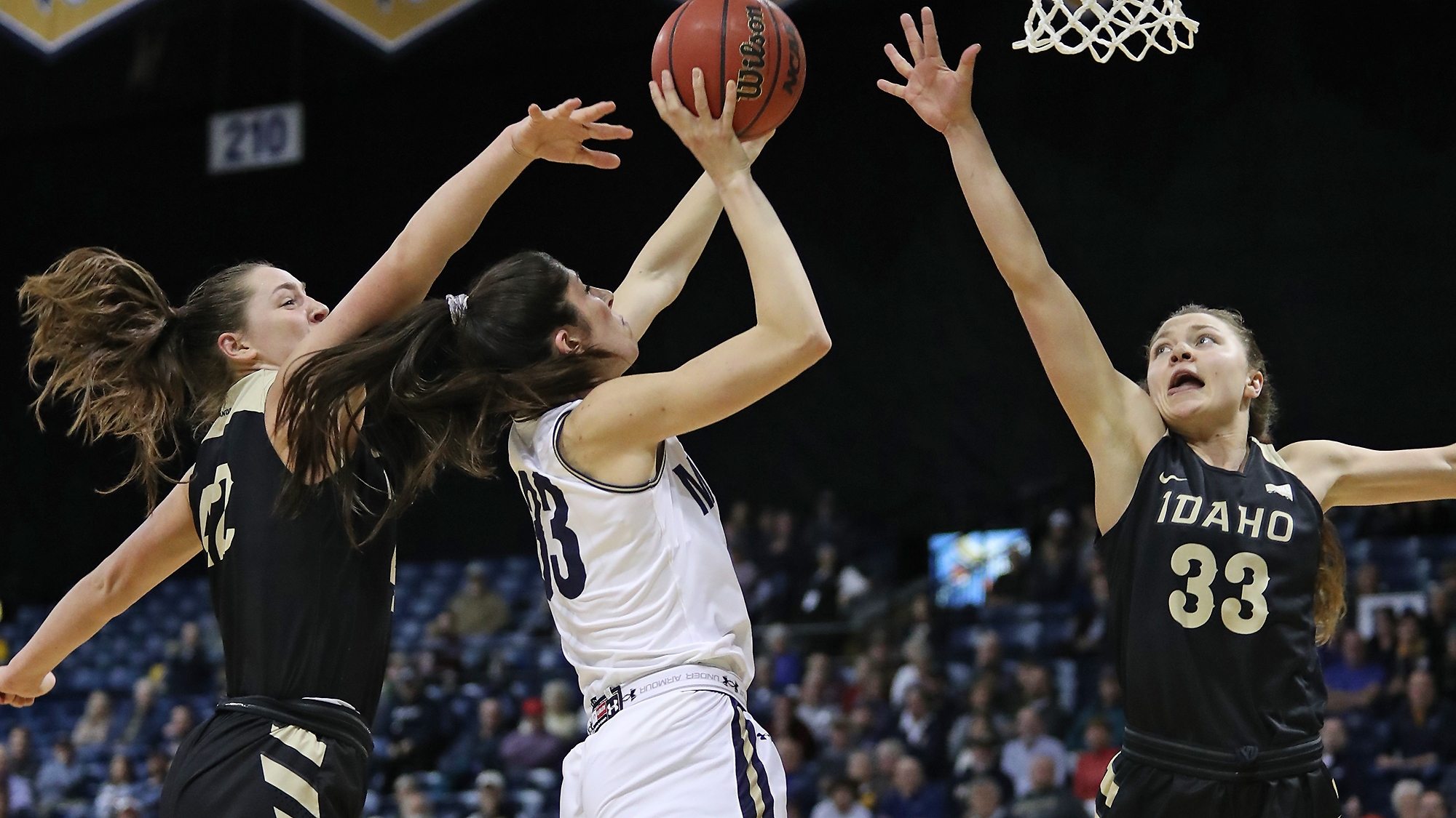 Madeline Smith - Women's Basketball - Montana State University Athletics