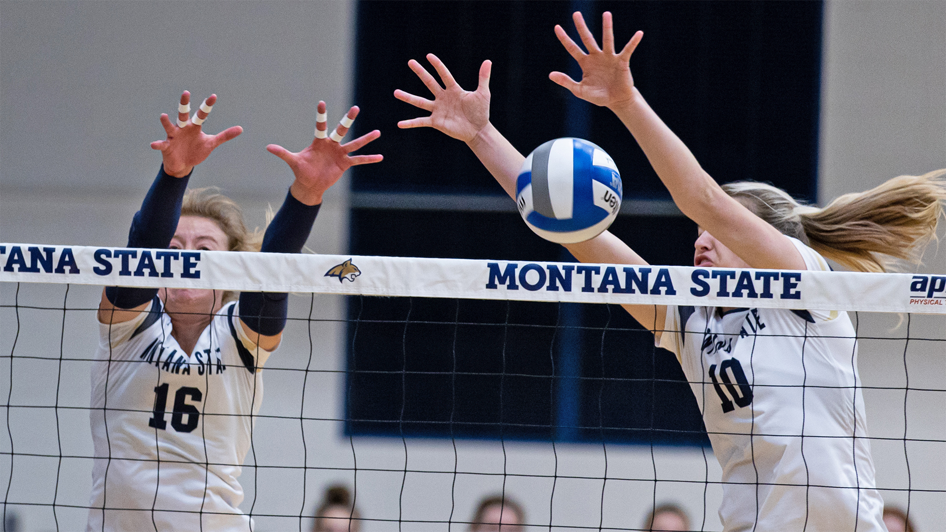 Jordan Radick - Women's Volleyball - Montana State University Athletics