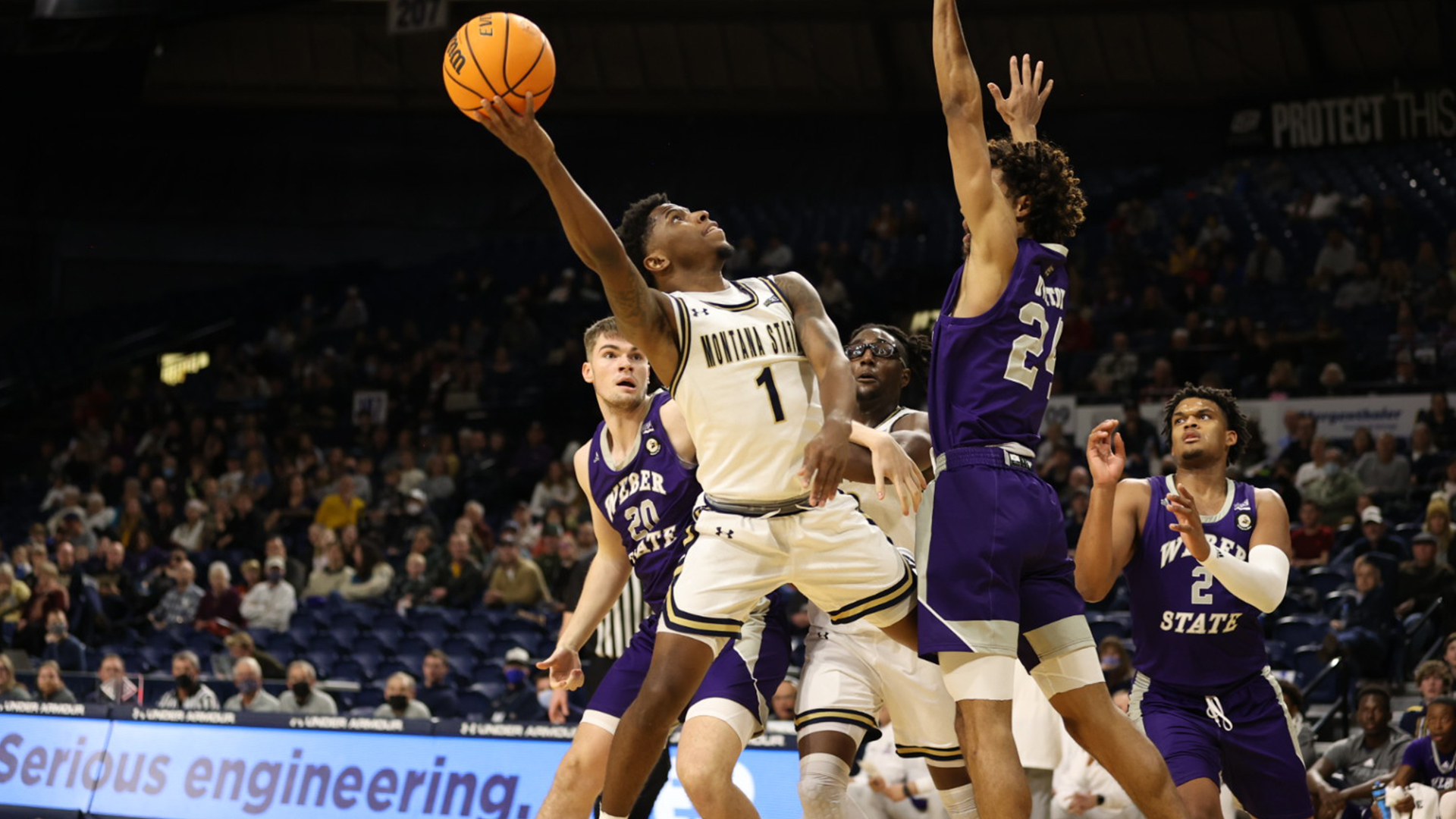Xavier Bishop - Men's Basketball - Montana State University Athletics