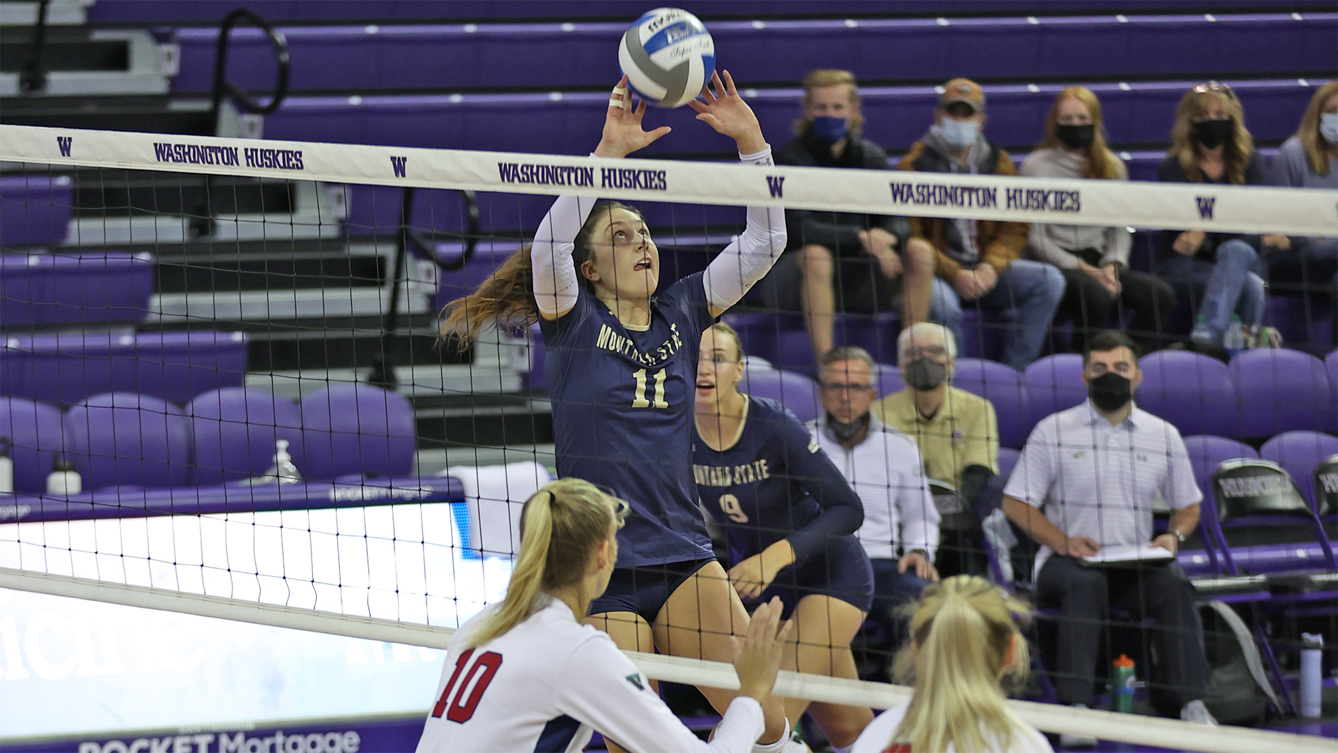 Allie Lynch - Women's Volleyball - Montana State University Athletics