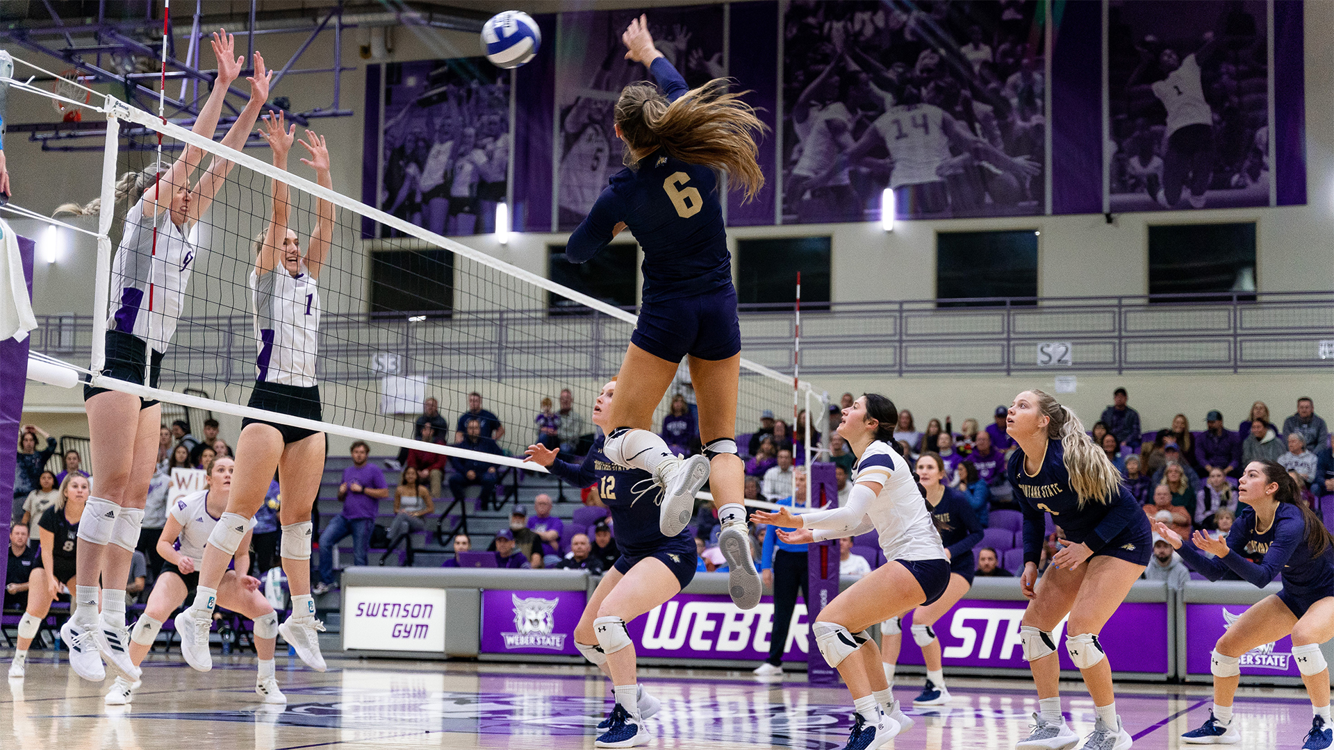 Kira Thomsen - Women's Volleyball - Montana State University Athletics