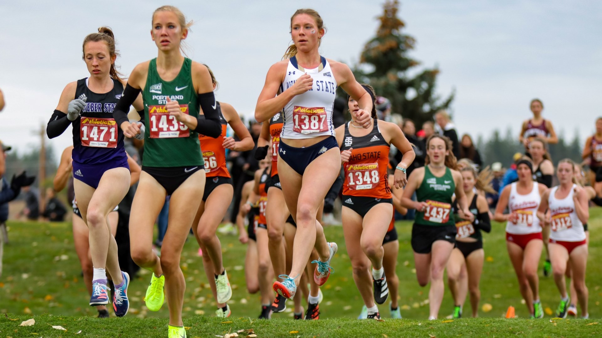 Alexis Palmer - Women's Cross Country - Montana State University Athletics