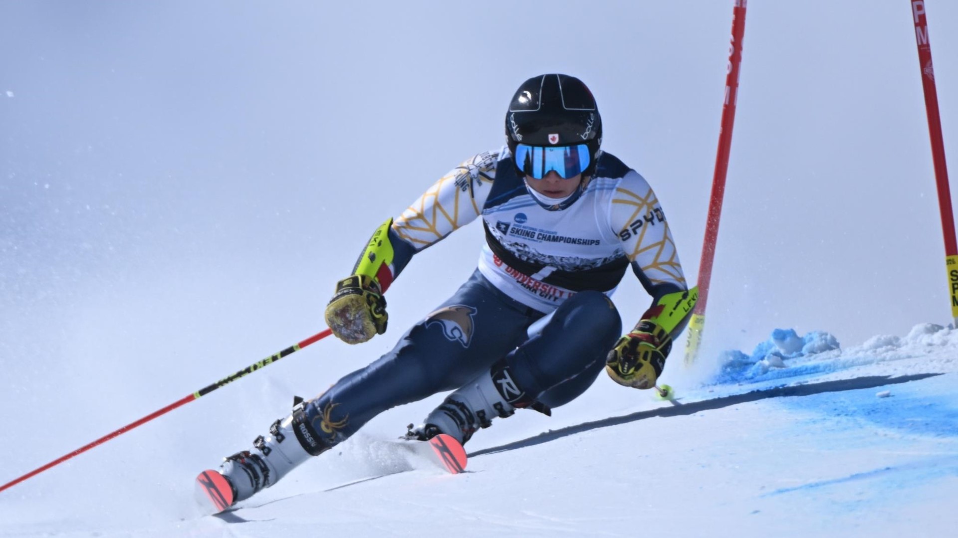 Riley Seger - Men's Skiing - Montana State University Athletics