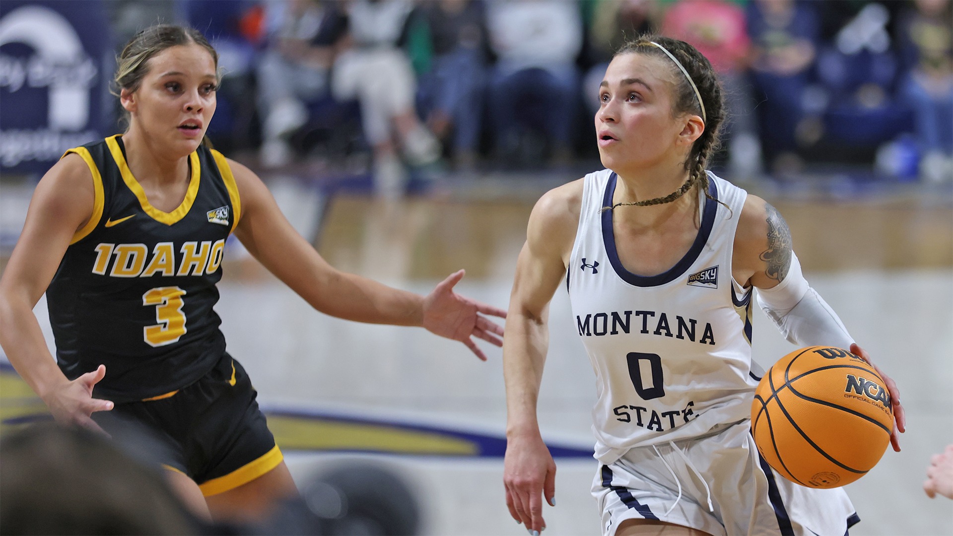 Darian White - Women's Basketball - Montana State University Athletics