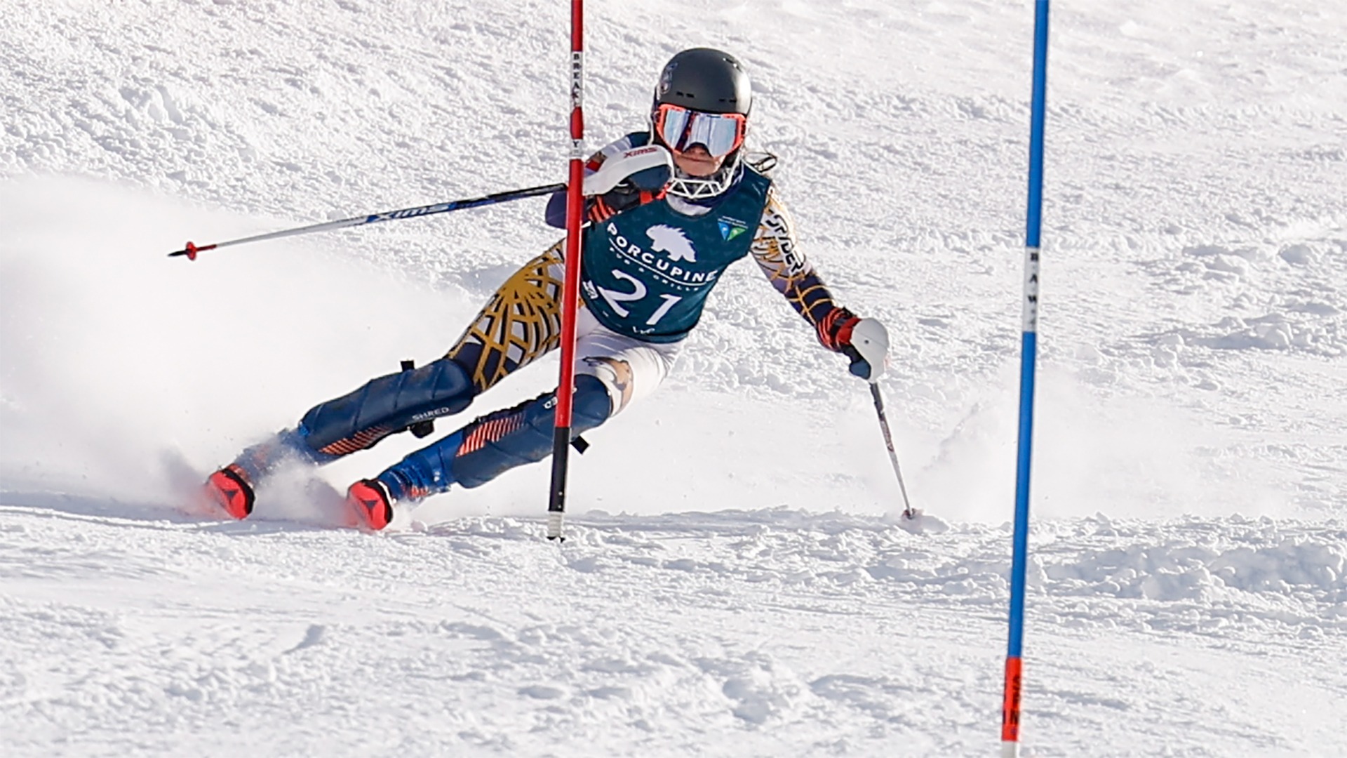 Tegan Wold - Women's Skiing - Montana State University Athletics