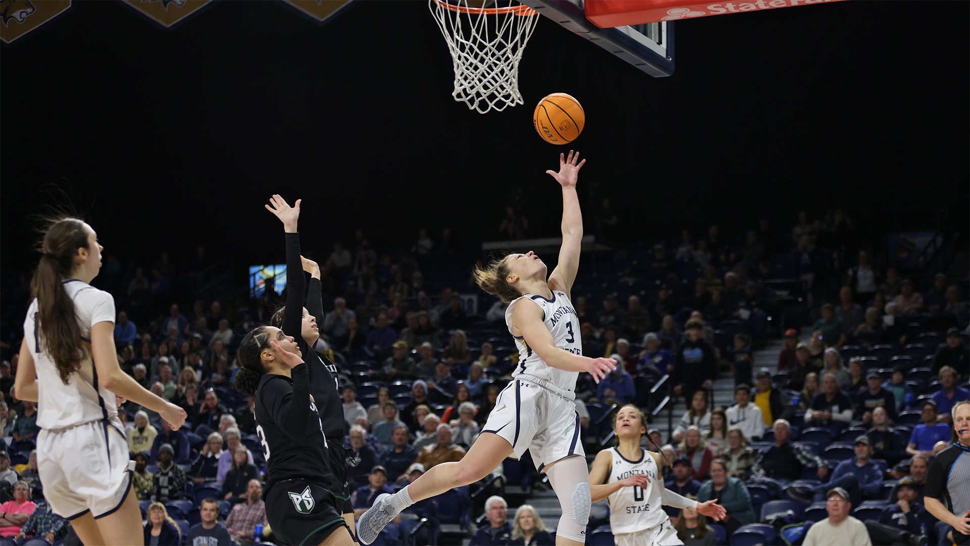 Grace Beasley - Women's Basketball - Montana State University Athletics