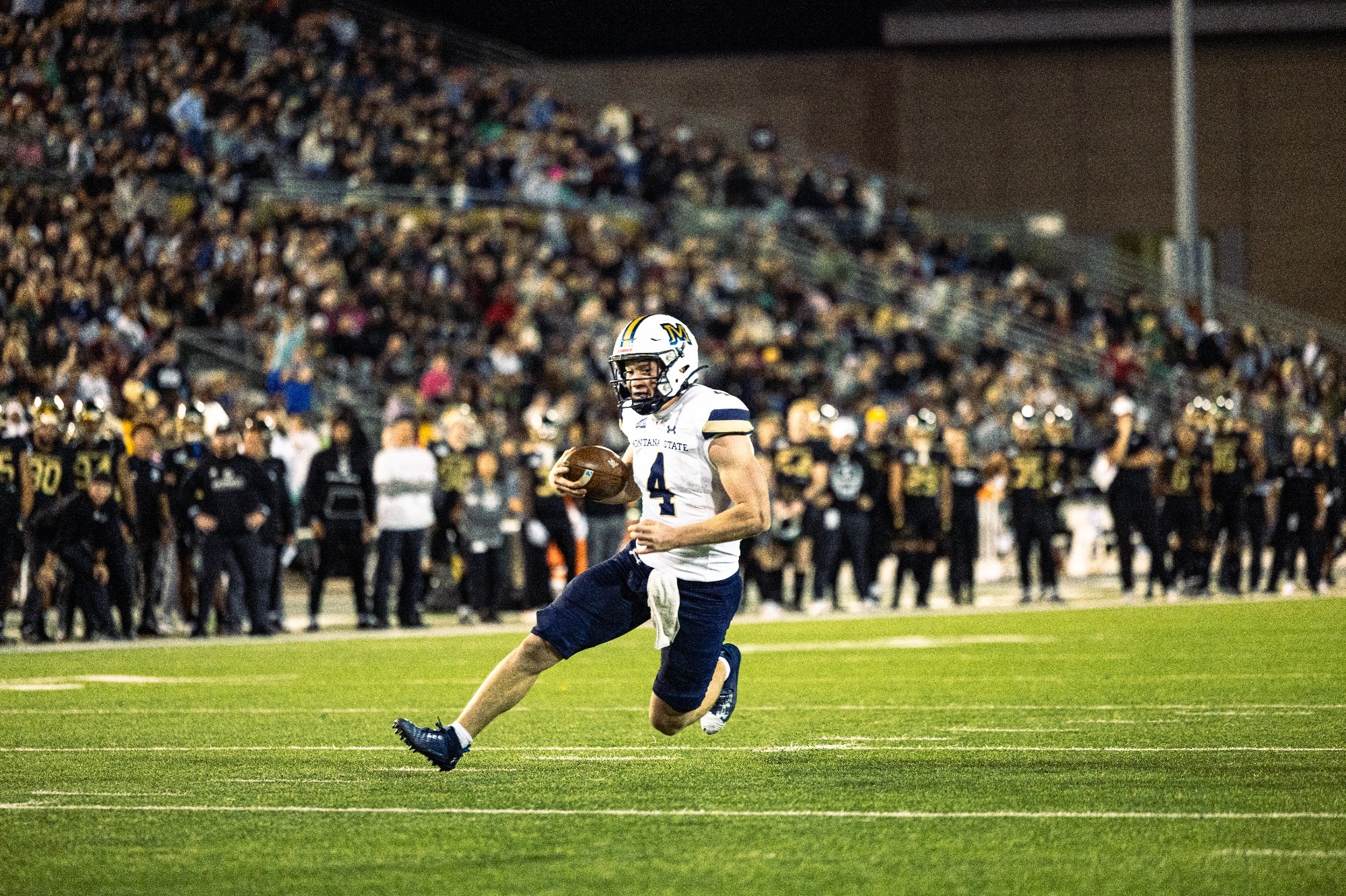 Tommy Mellott - Football - Montana State University Athletics