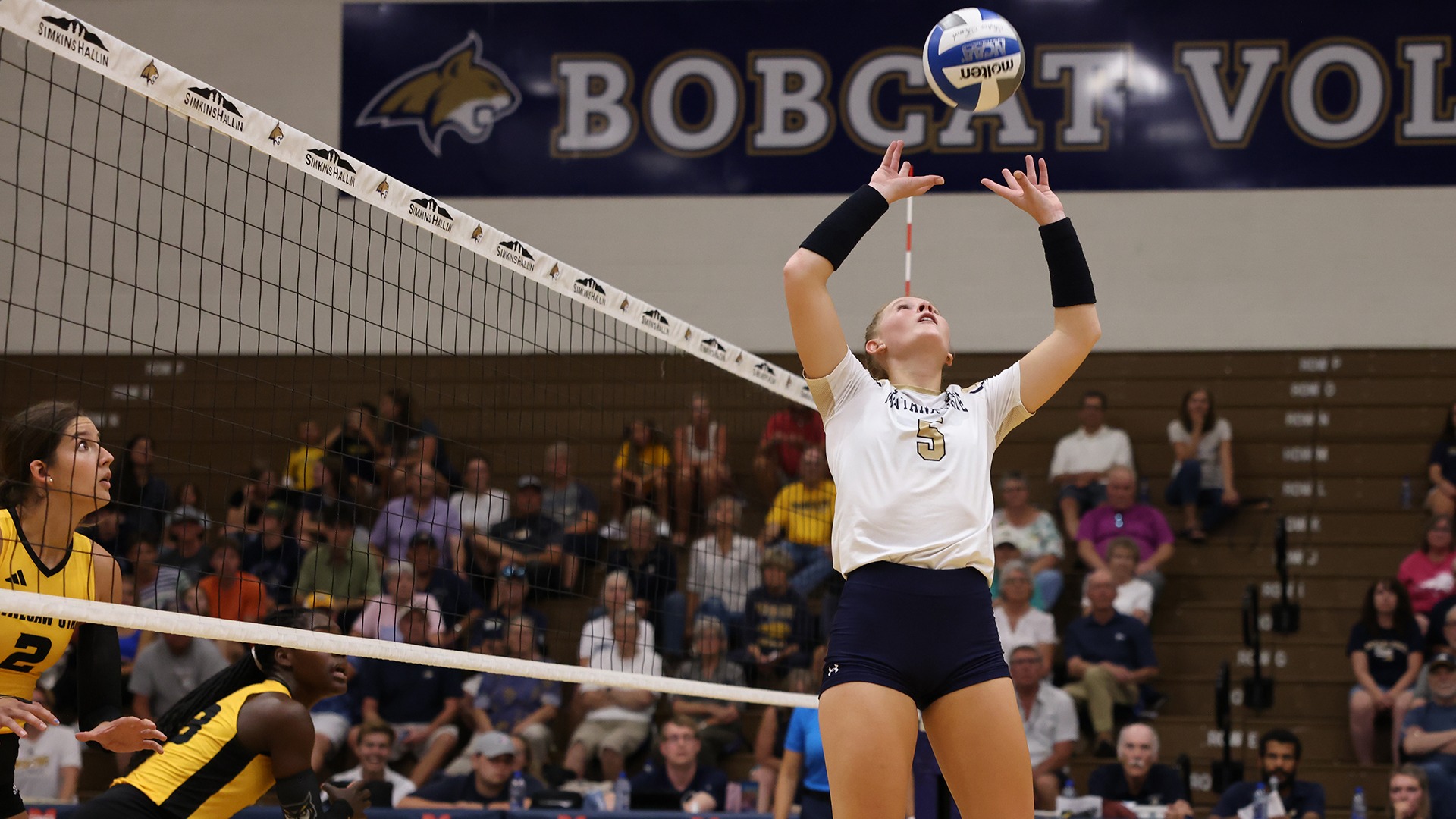 Audrey Hofer - Women's Volleyball - Montana State University Athletics