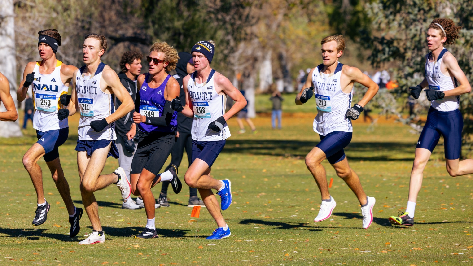 Montana State Cross Country Releases 2024 Schedule - Montana State ...