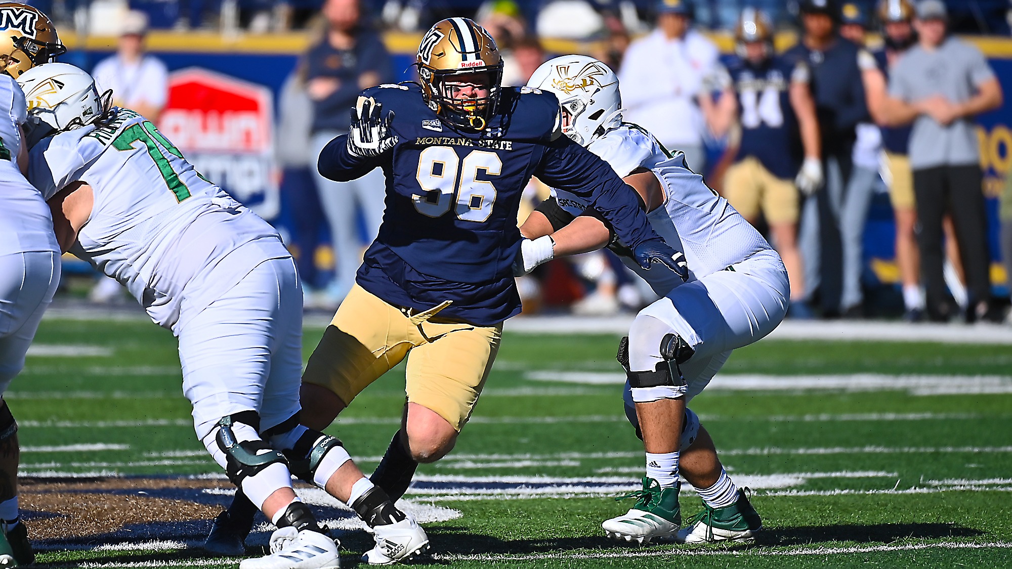 Montana State's Tommy Mellott Wins 2024 Walter Payton Award from Stats ...