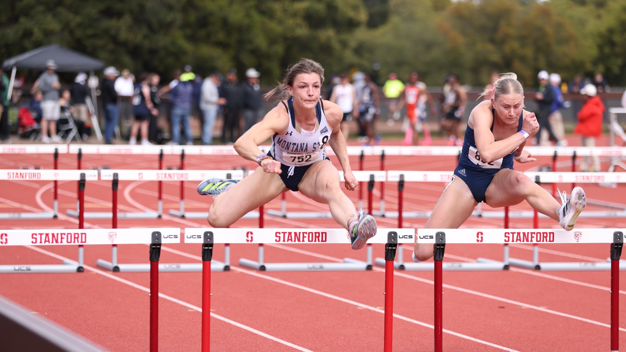Elena Carter - Women's Track and Field - Montana State University Athletics