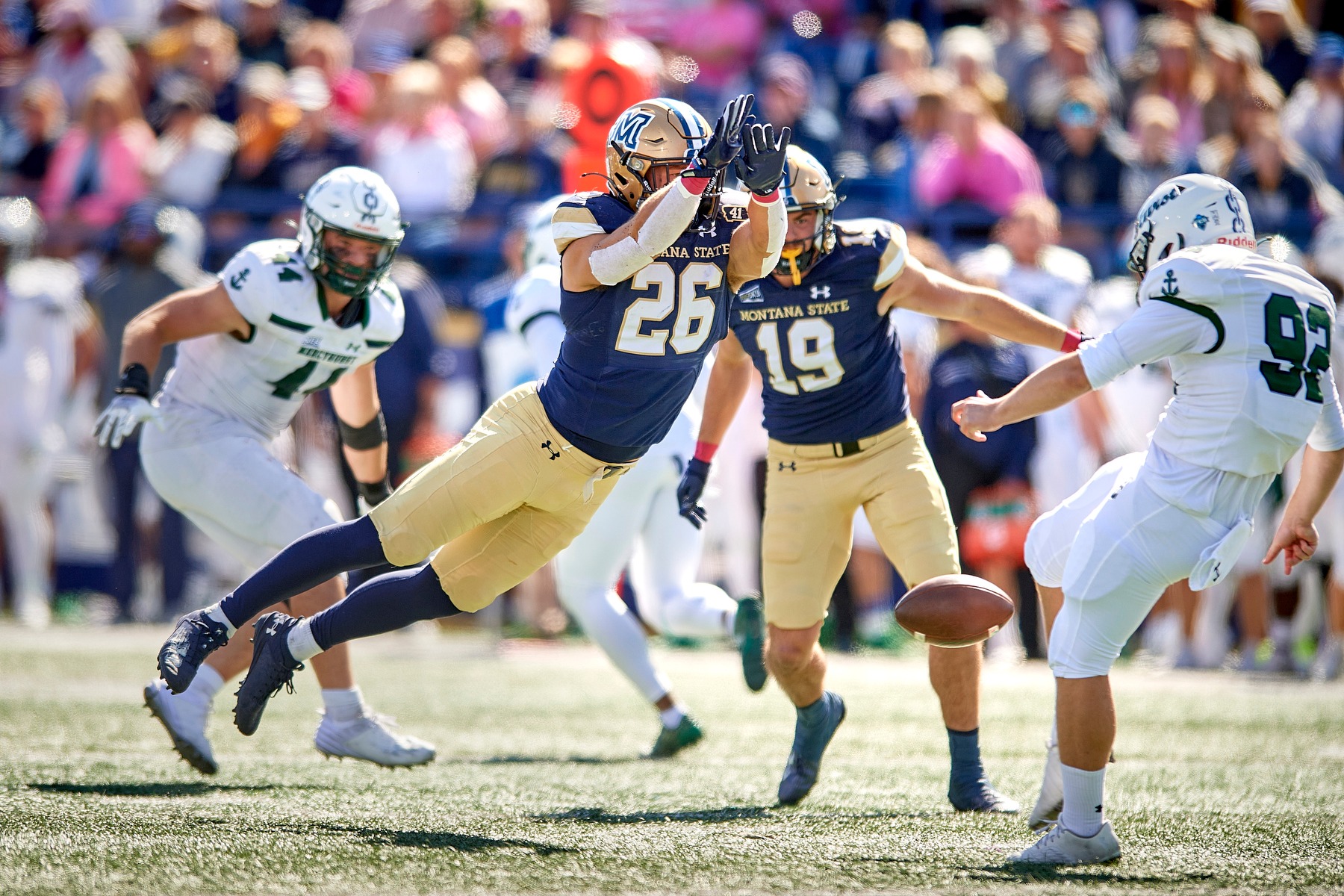 Montana State Names Brent Vigen Bobcat Head Football Coach - Montana ...