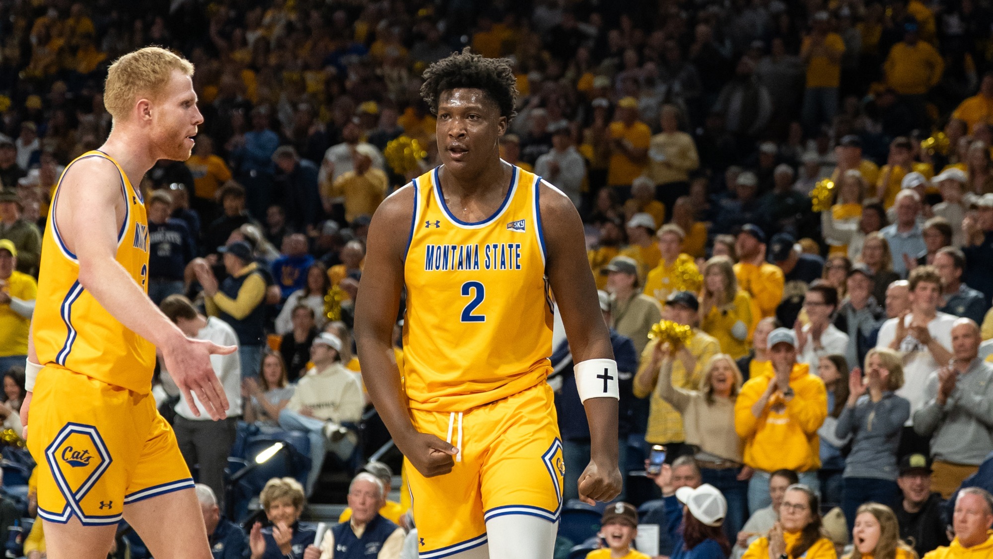 Cats Welcome Weber State and Idaho State to Bozeman This Weekend ...