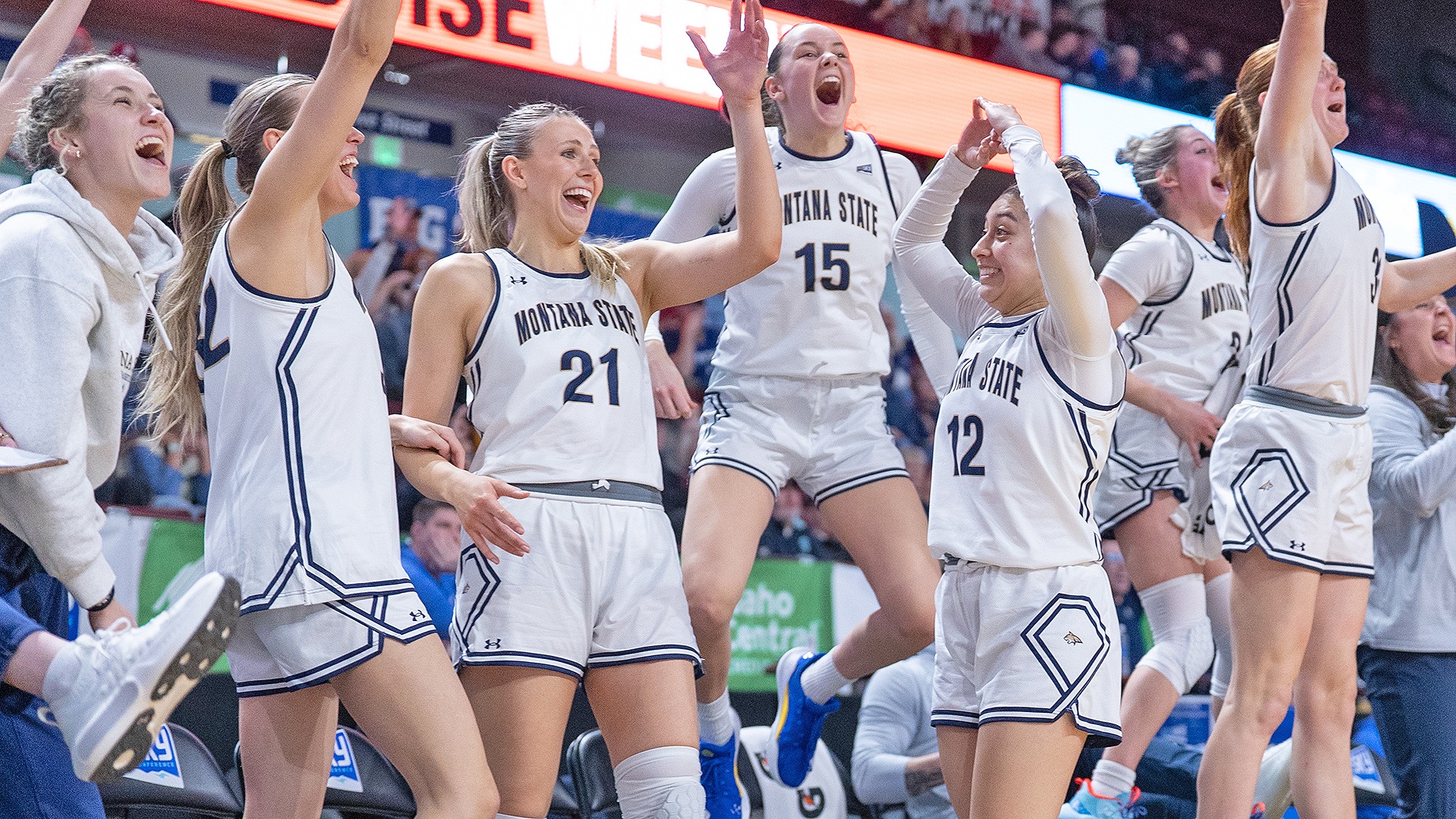 Bobcats Debut in Mid Major Top 25 Poll - Montana State University Athletics