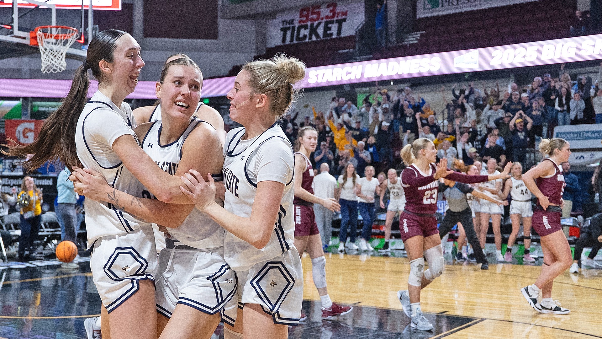 Bobcats Debut in Mid Major Top 25 Poll - Montana State University Athletics