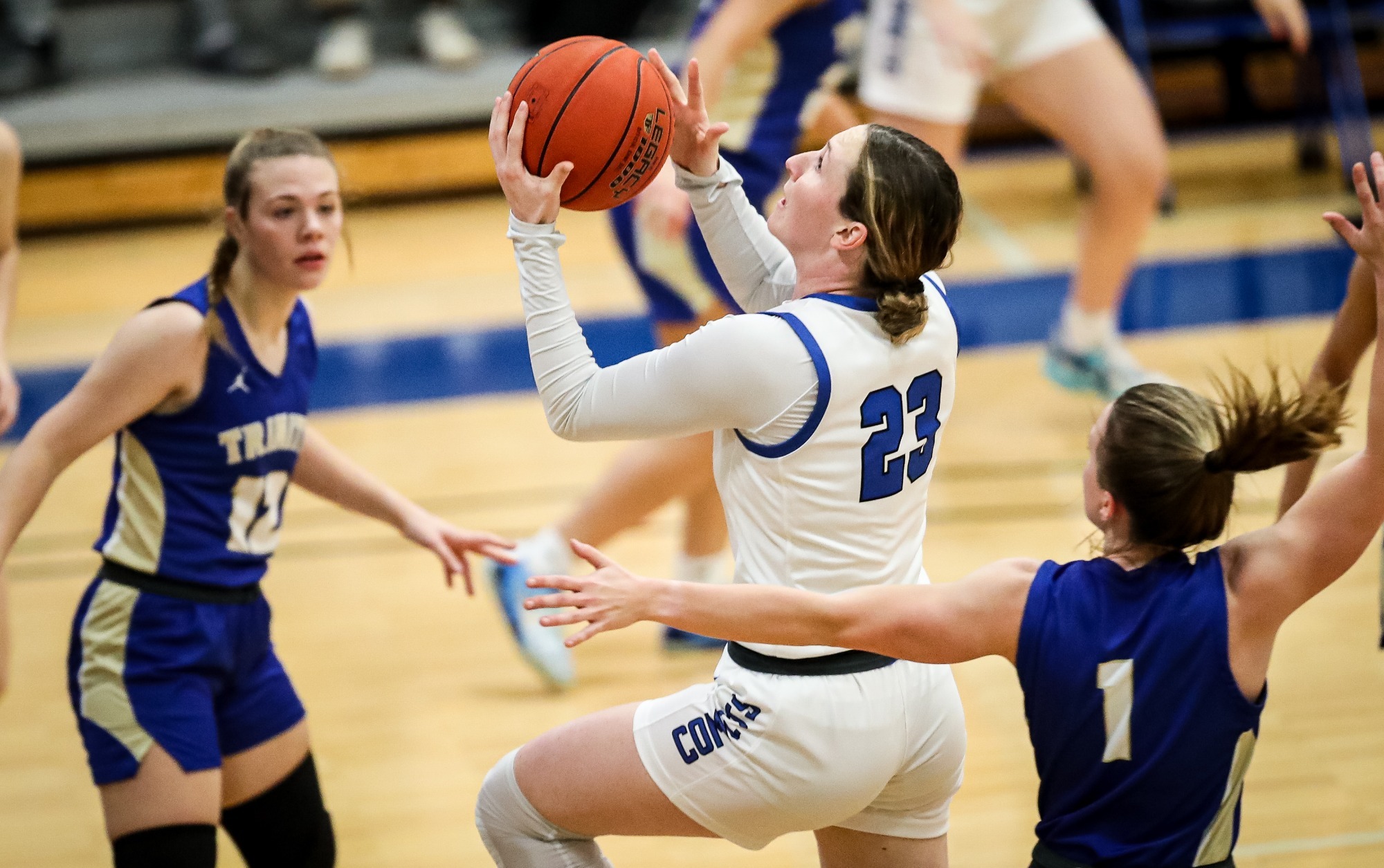 Zrust hits 2000 career points, Comets dominate Lions 94-37 - Mayville ...
